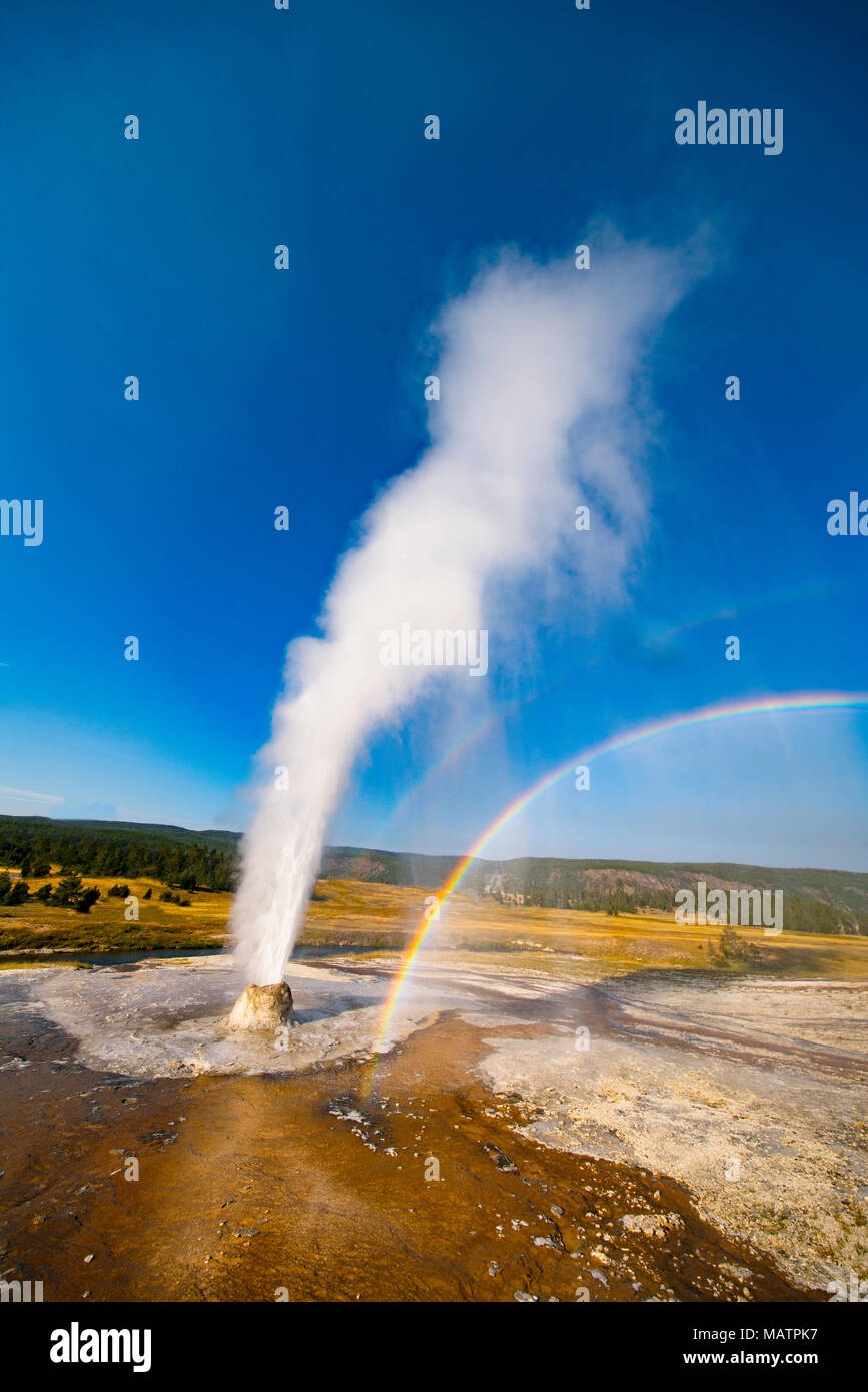 Beehive Geyser erupting and rainbow,, Yellowstone National park ...