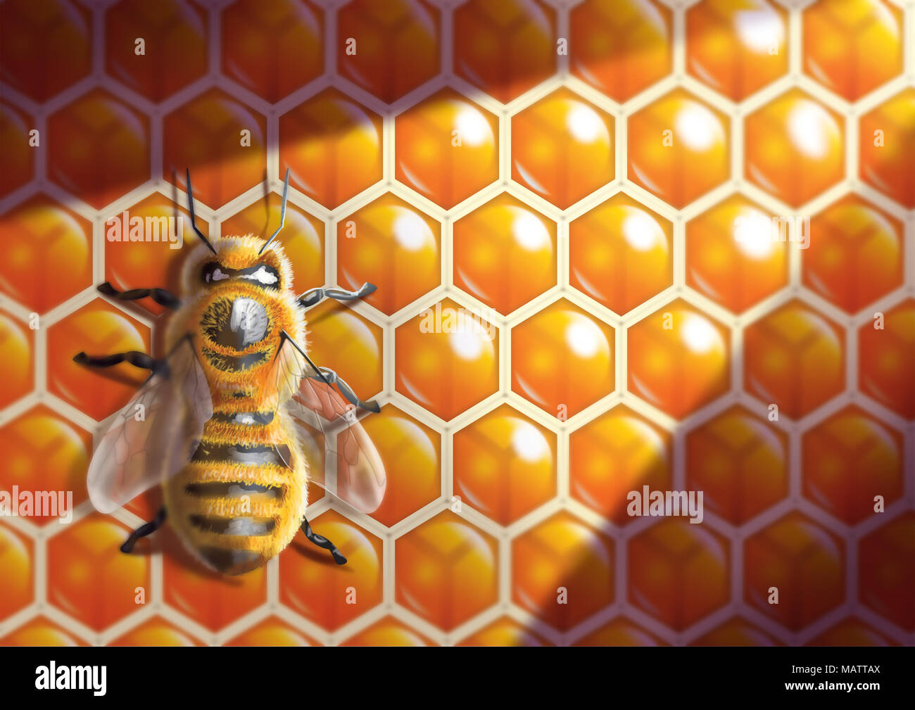 Digital illustration of bee inside a beehive with light shining in ...