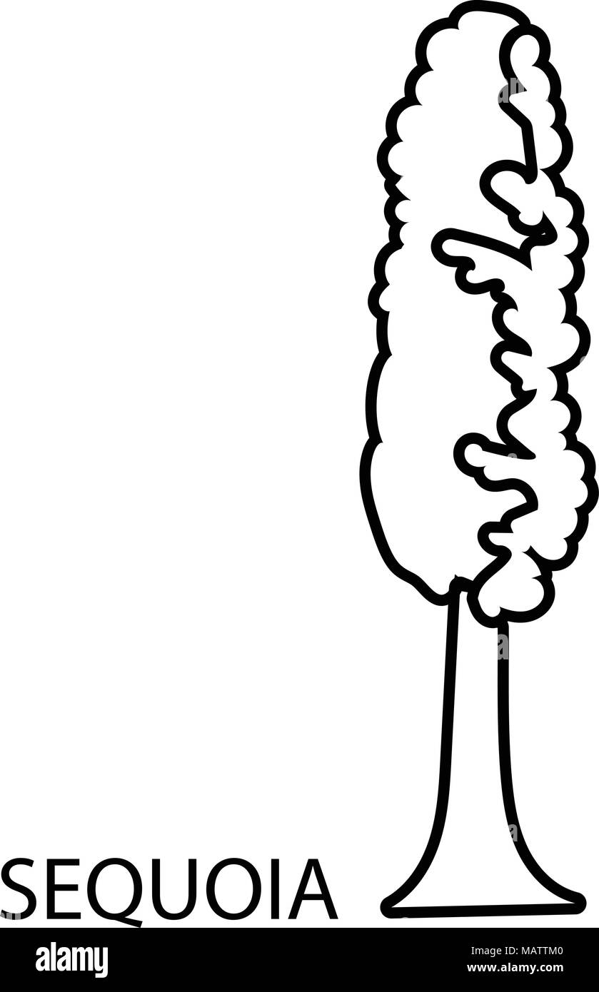 Giant sequoia Stock Vector Images - Alamy