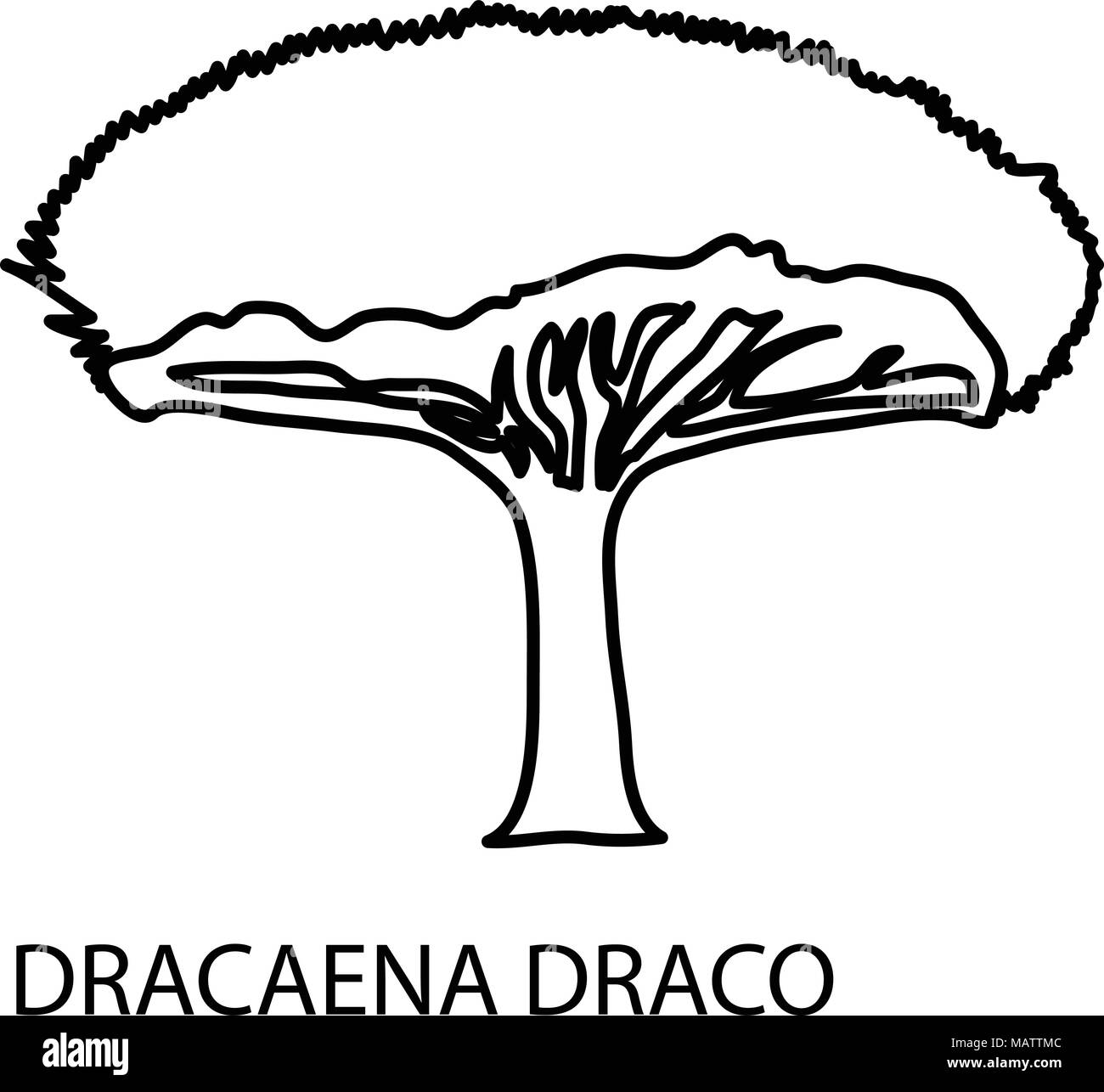 Dracaena draco icon, outline style Stock Vector Image & Art - Alamy