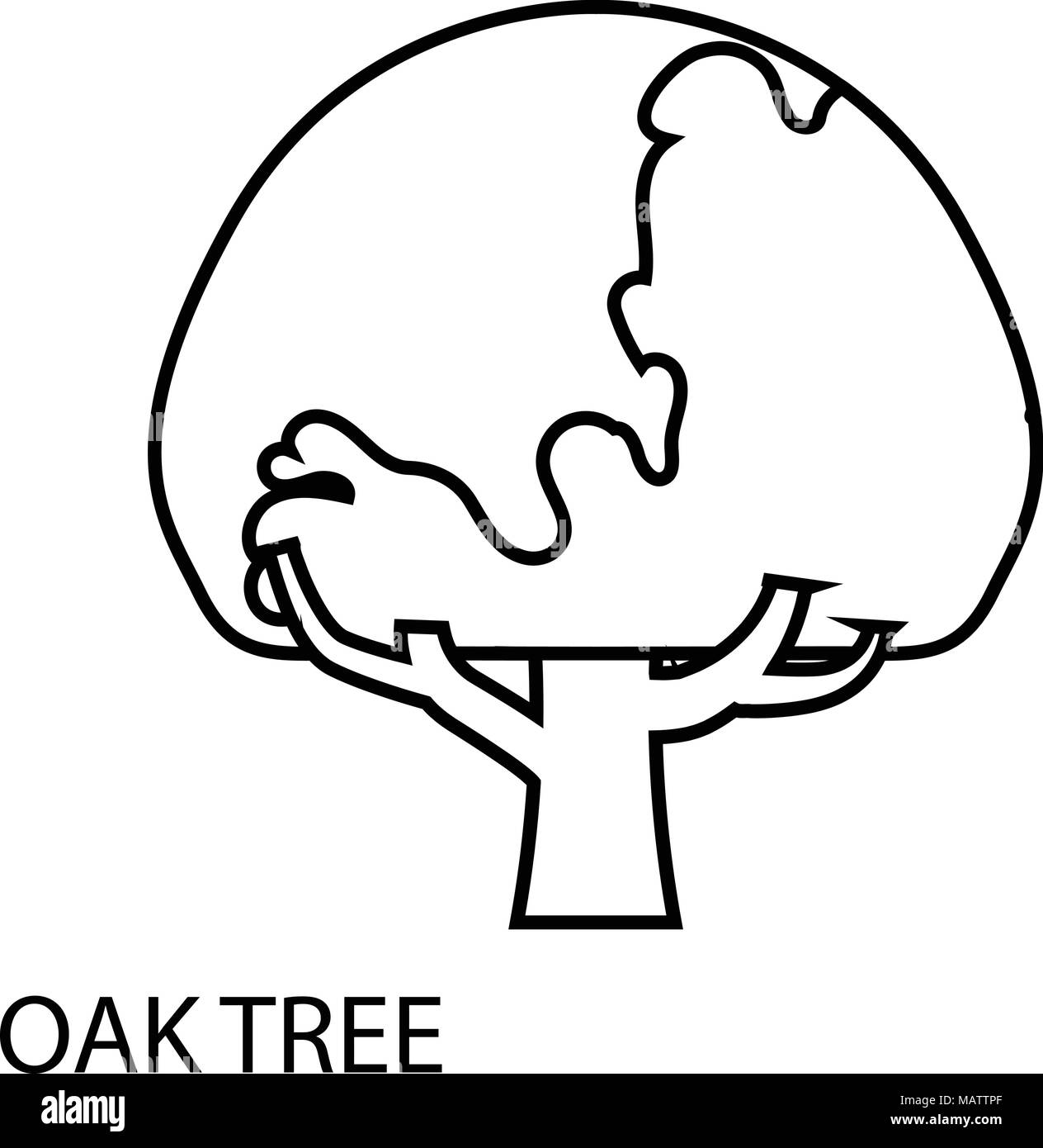 Oak tree icon, outline style Stock Vector Image & Art - Alamy