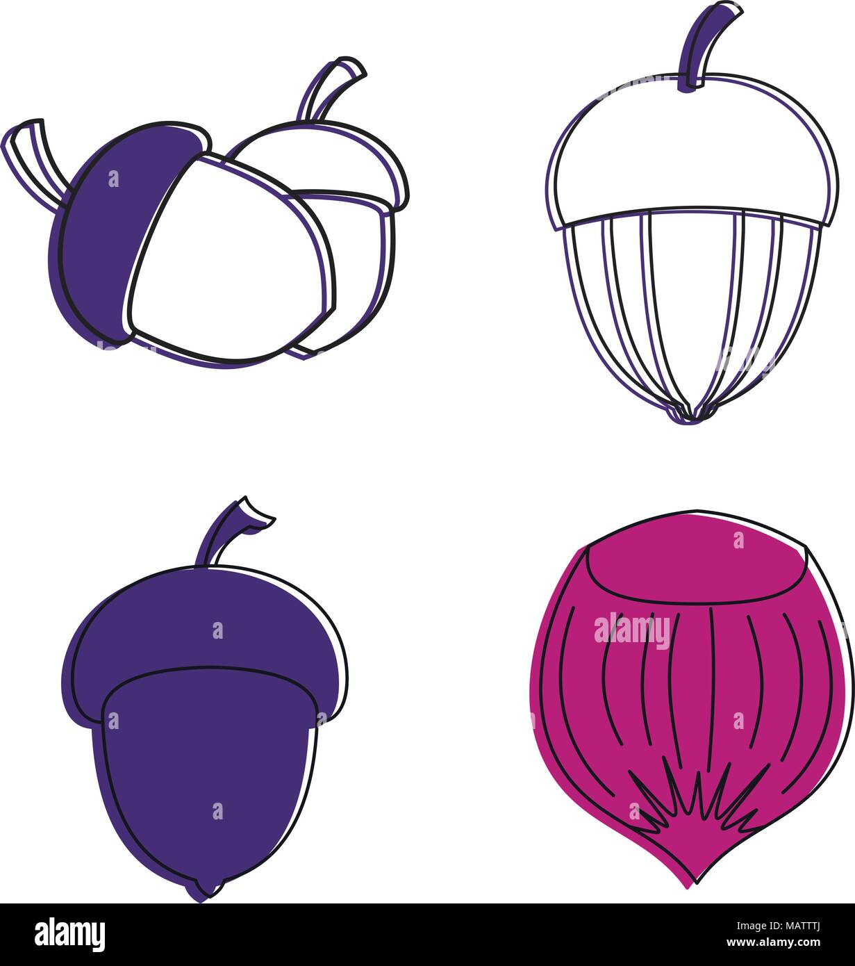 Forest nut icon set, color outline style Stock Vector Image & Art - Alamy