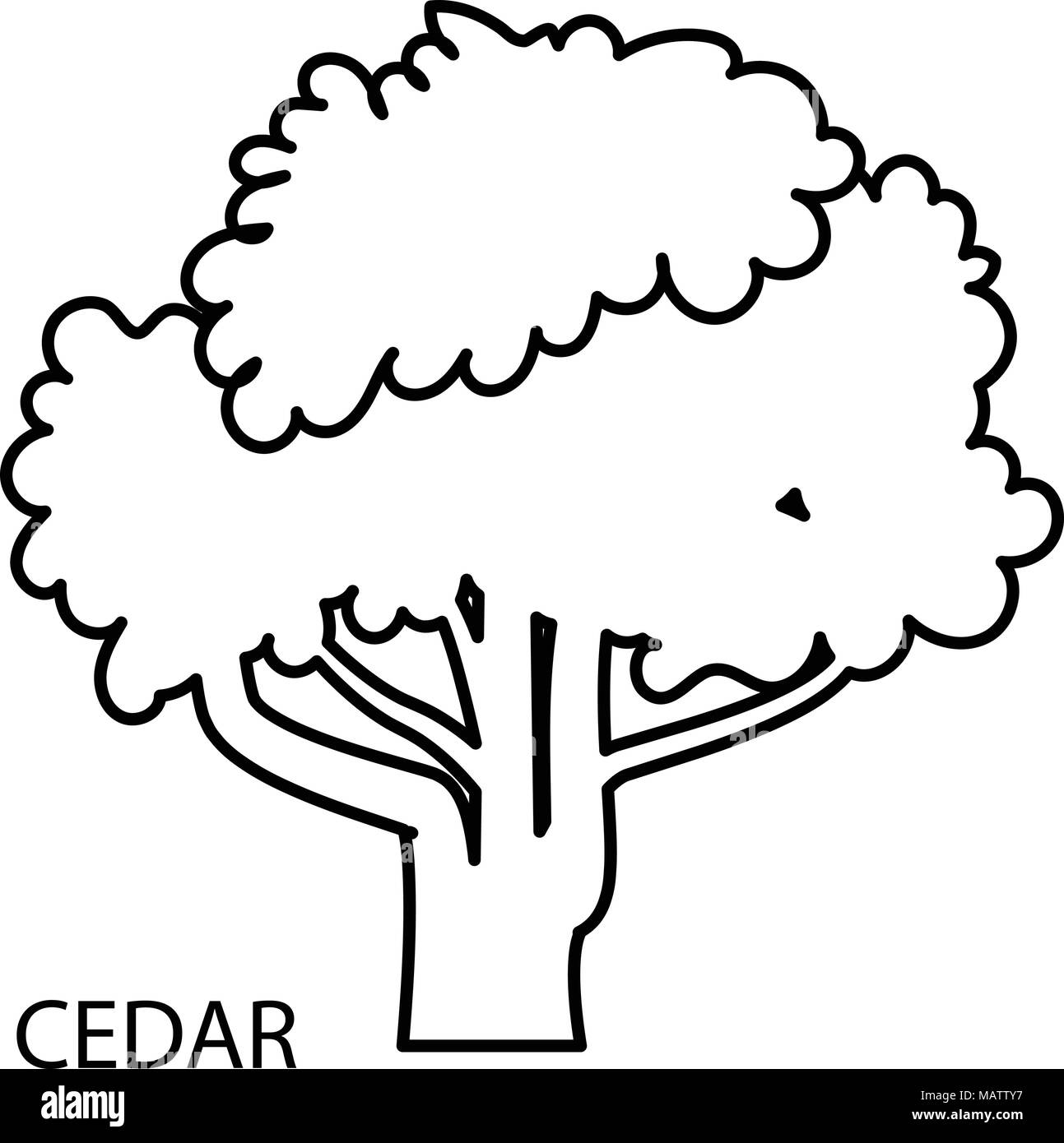 Cedar icon, outline style Stock Vector Image & Art - Alamy