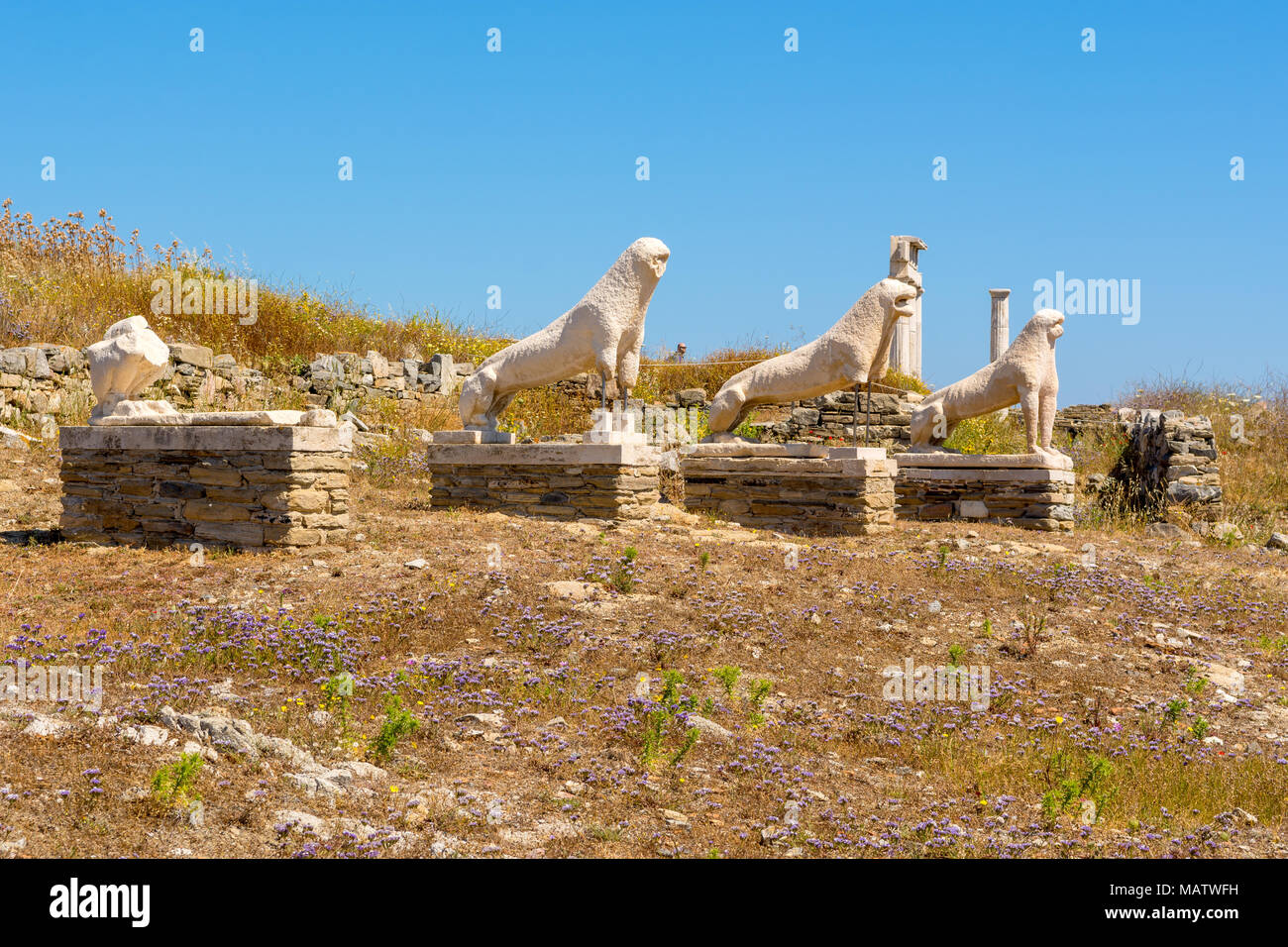 Terrace of the Lions, the famous symbol of Archaeological Site of Delos ...