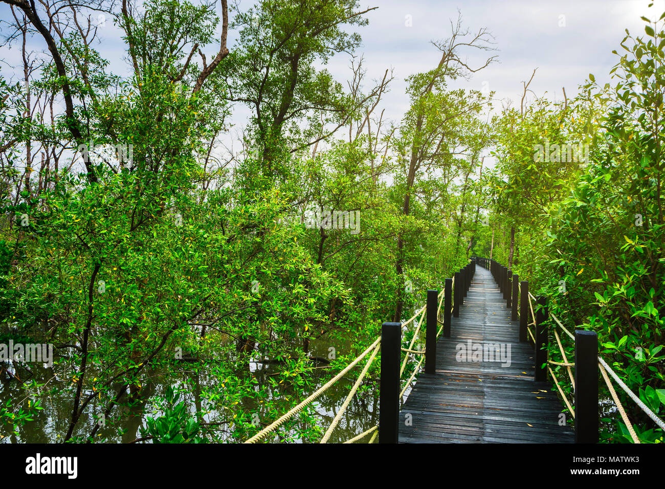 The beautiful nature walks Stock Photo - Alamy