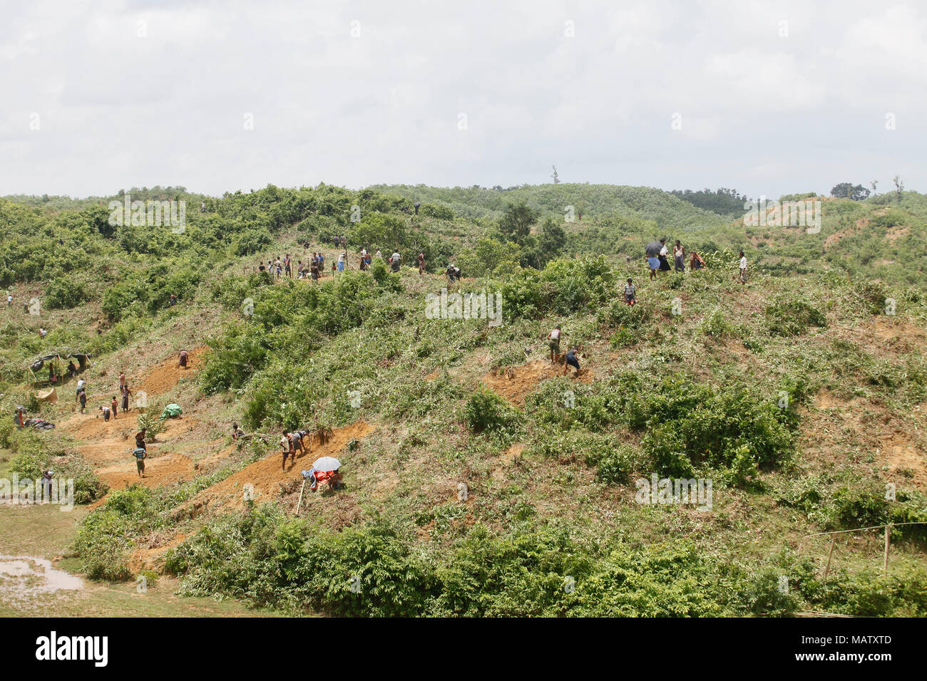 Ukhiya hi-res stock photography and images - Alamy