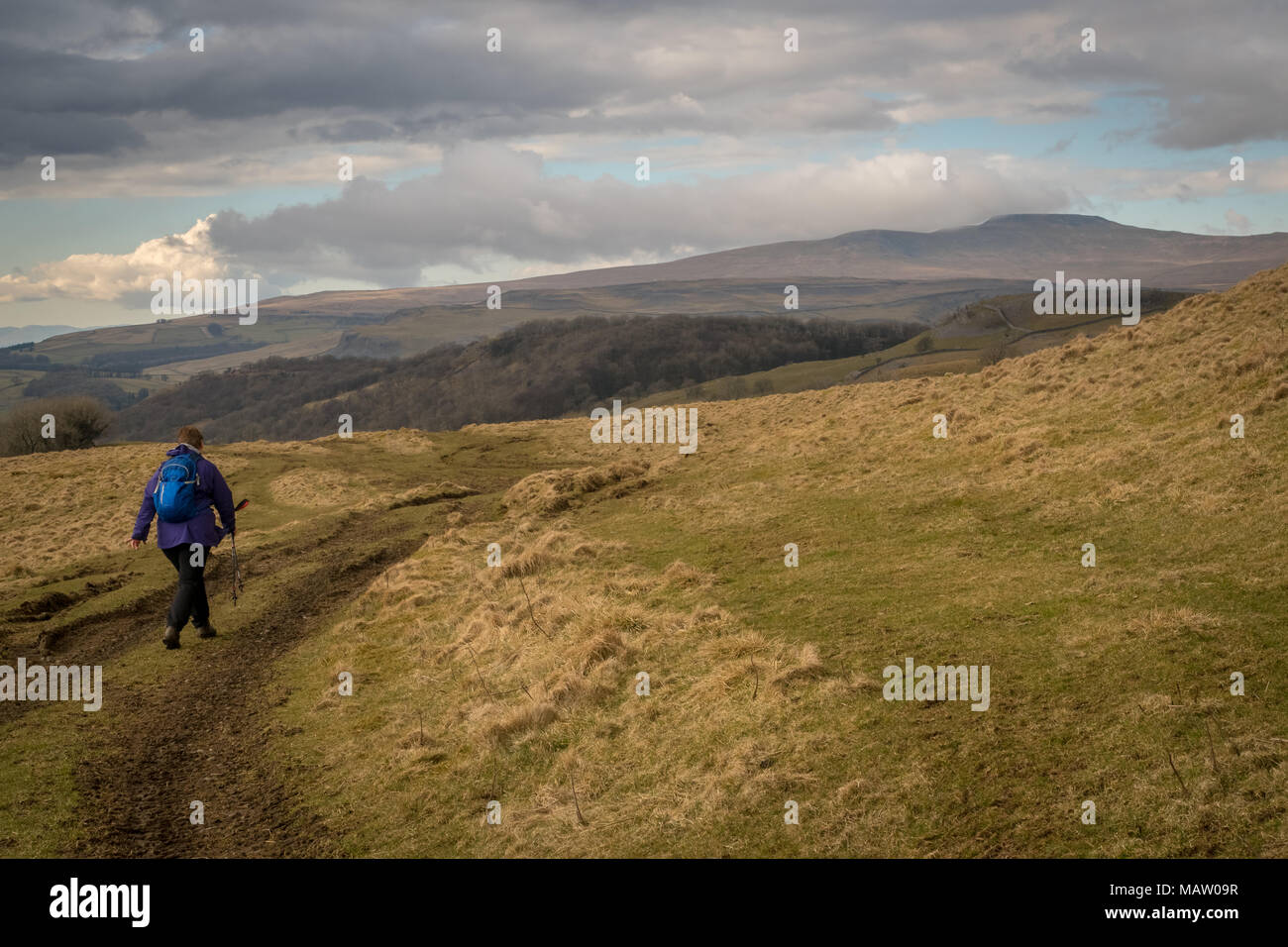 Settle and Helwith Bridge in the Yorkshire Dales Stock Photo - Alamy