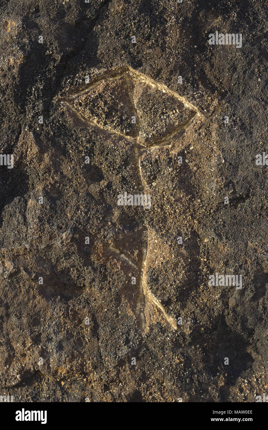 Celtic runy / symbols in the stone Stock Photo - Alamy