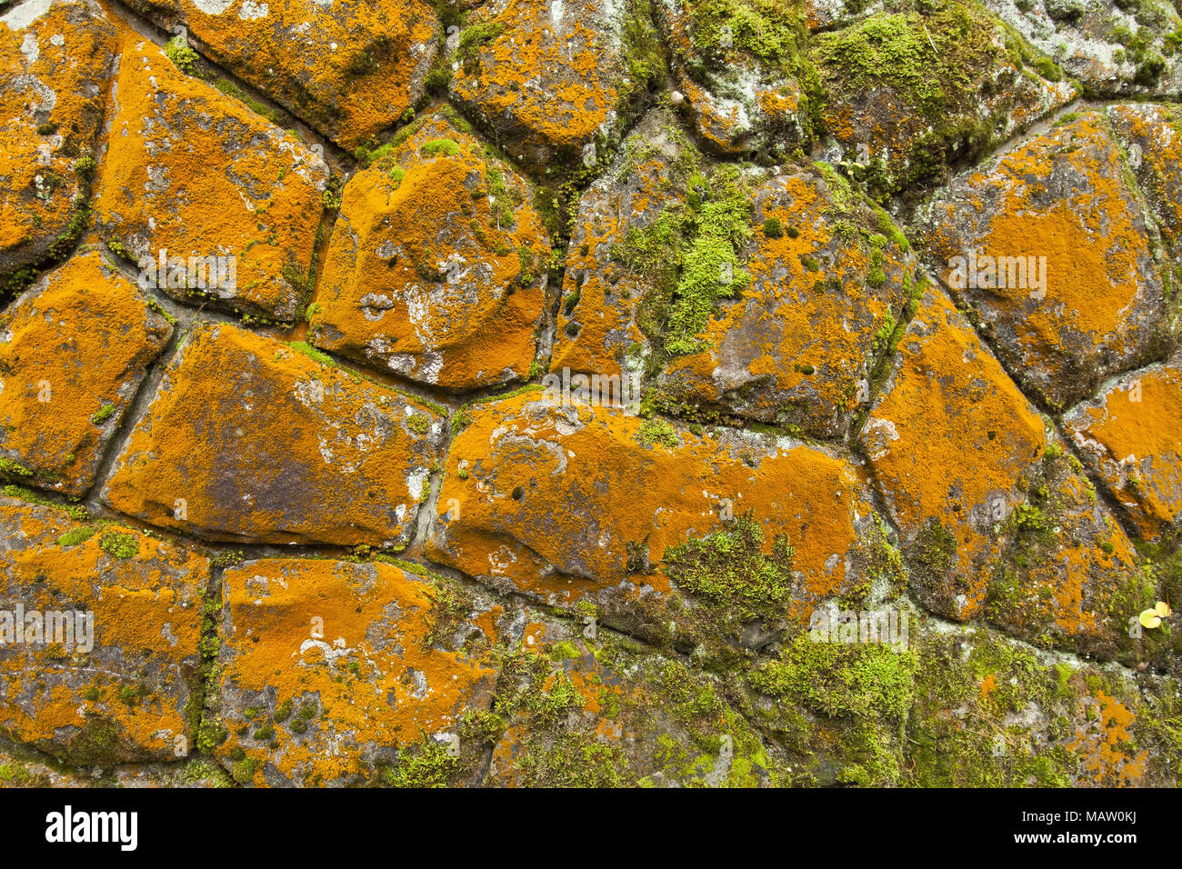 Old stone with moss background Stock Photo - Alamy