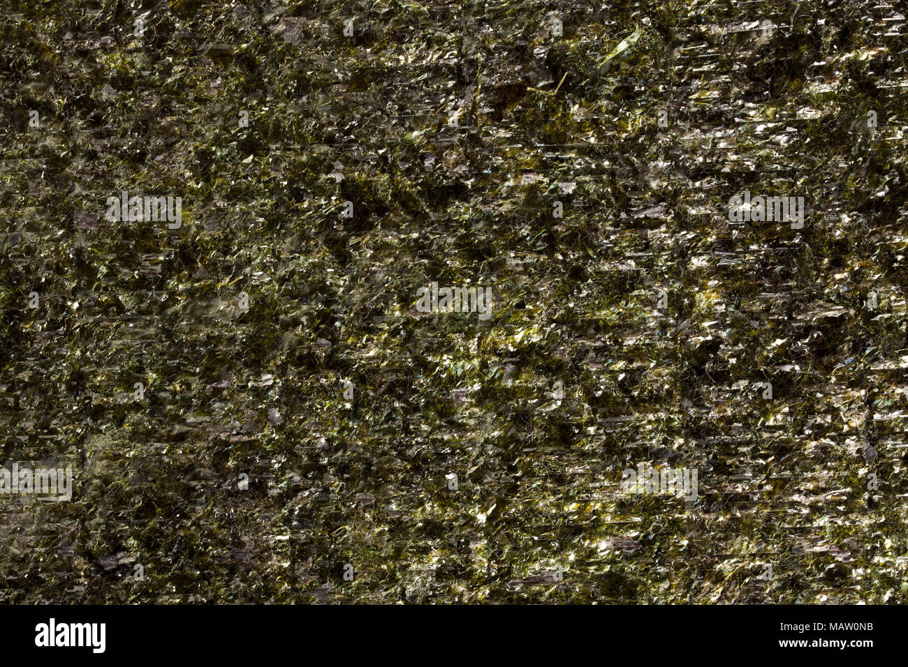 seaweed background texture Stock Photo - Alamy