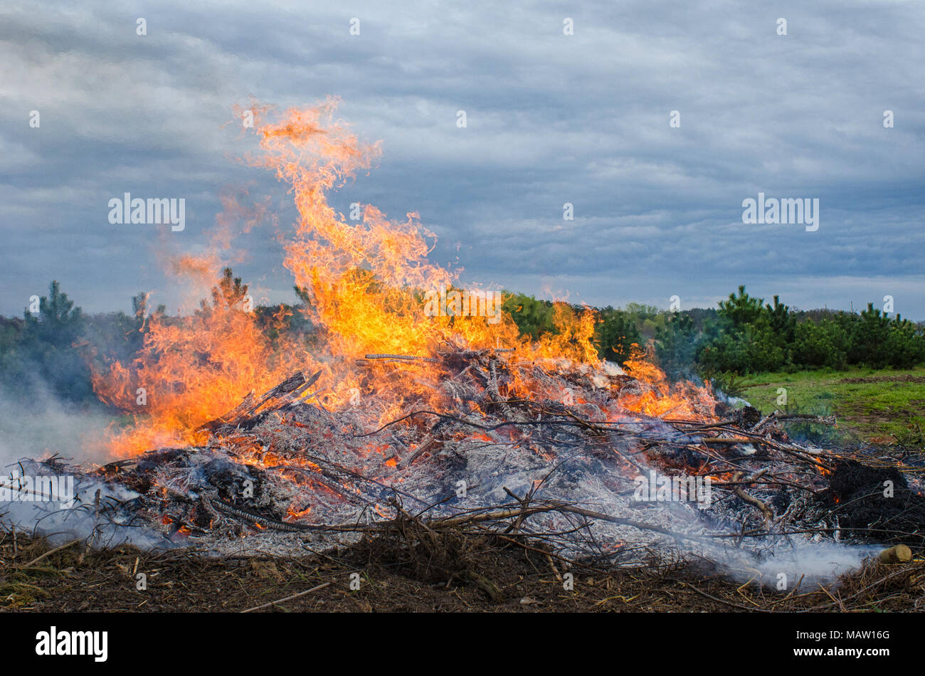 Beautiful detailed bonfire in natural area Stock Photo - Alamy