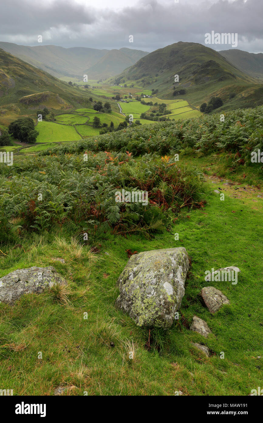 Summer, Martindale Common valley, Lake District National Park, Cumbria ...