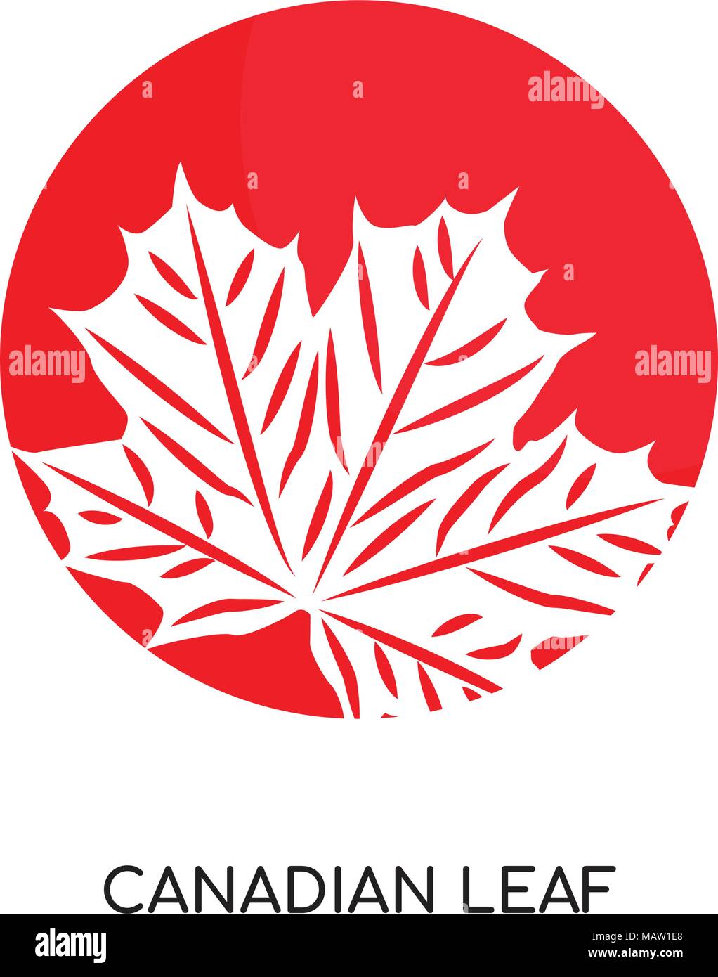 canadian leaf logo isolated on white background for your web, mobile ...
