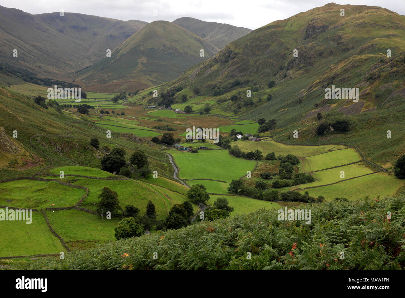 Cumbria Natural History High Resolution Stock Photography and Images ...