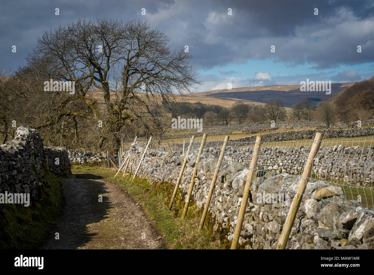 Litton in the Yorkshire Dales above Skipton Stock Photo - Alamy