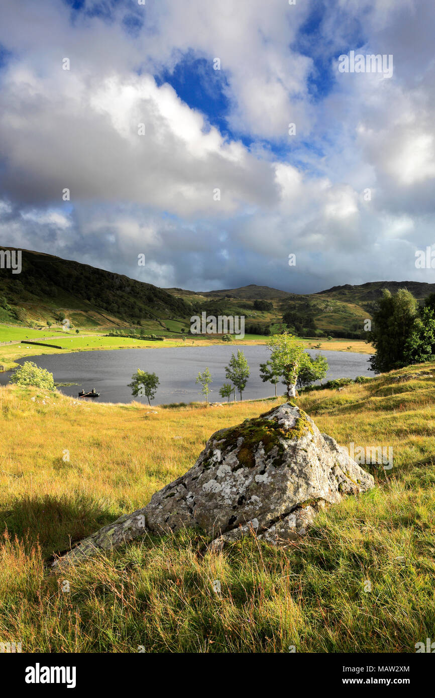 Summer view over Watendlath Tarn, Lake District National Park, Cumbria ...