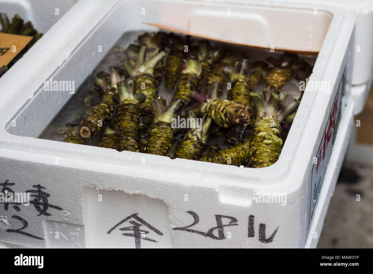 Fresh wasabi hi-res stock photography and images - Alamy