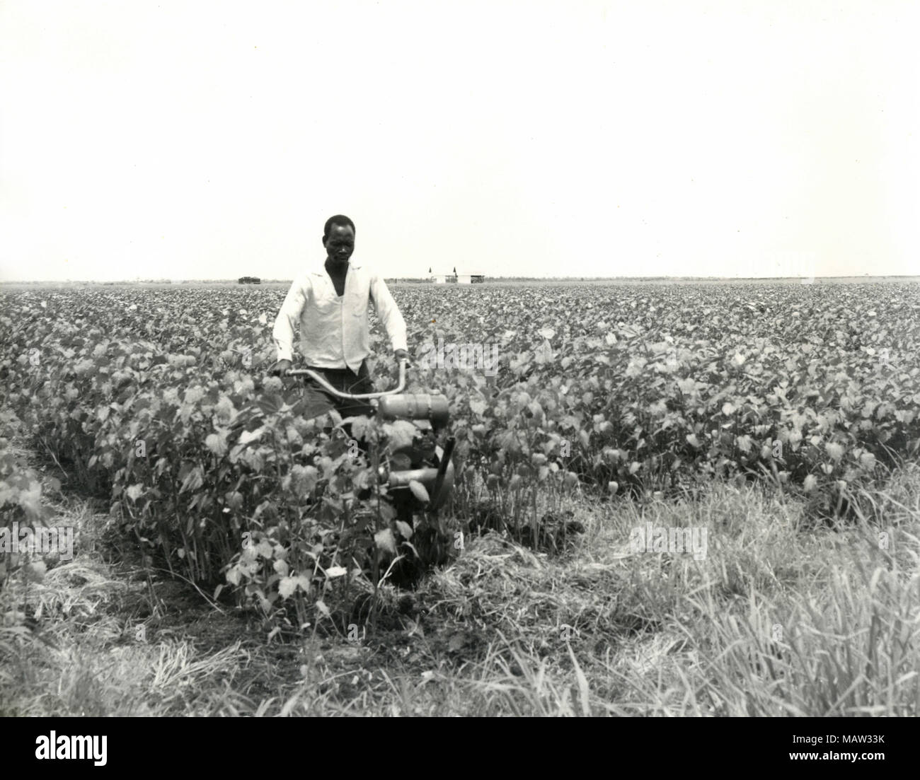 1950s farmer hi-res stock photography and images - Alamy