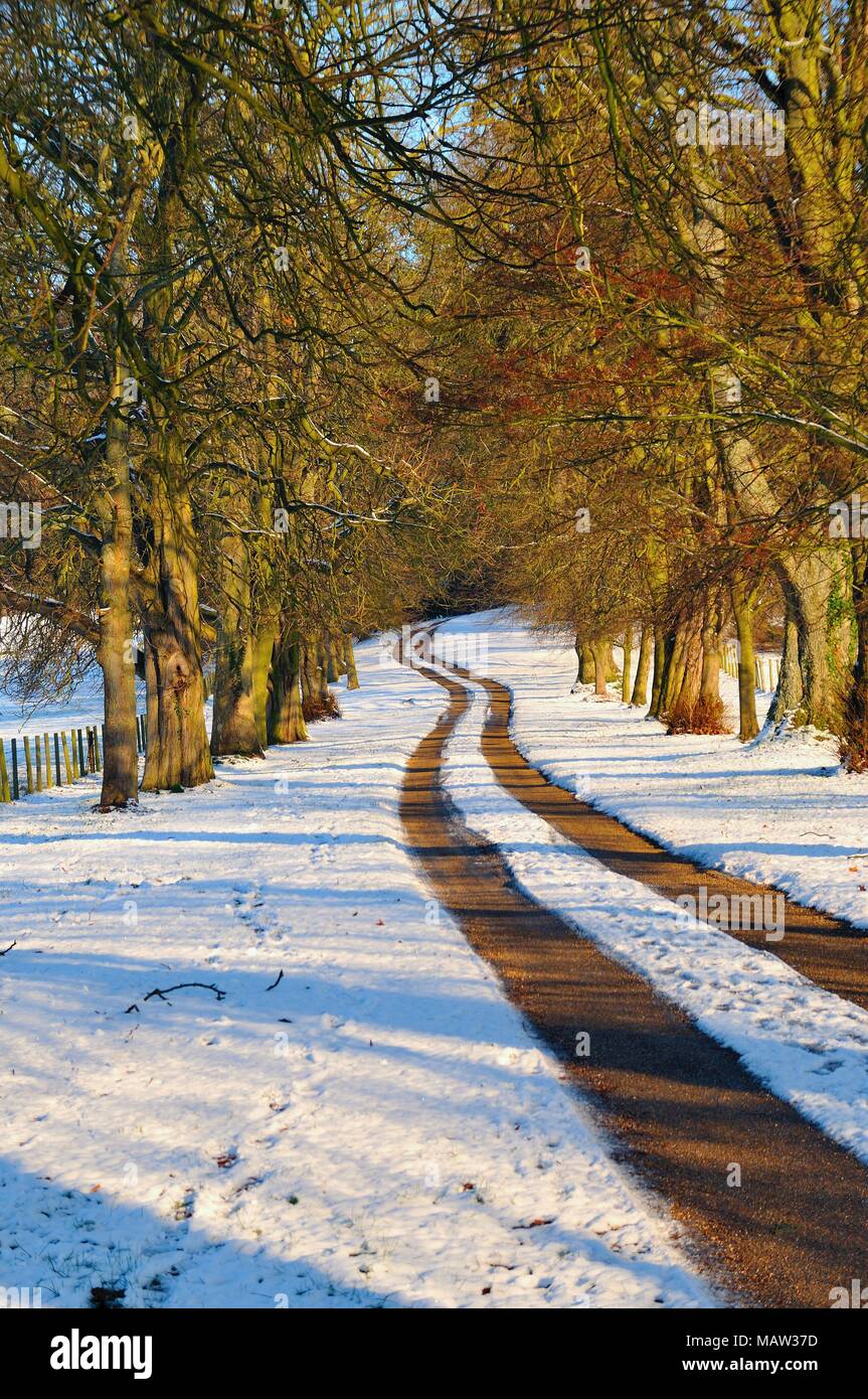 Shere surrey snow hi-res stock photography and images - Alamy