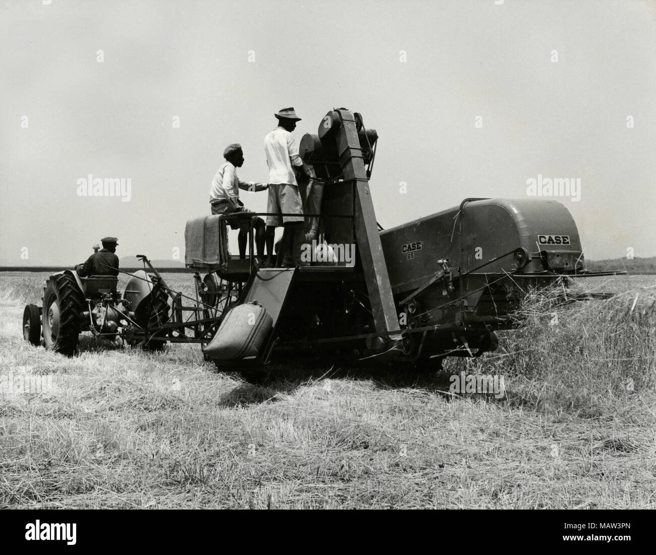 Case combine harvester at first harvest on flats, Rhodesian Selection ...