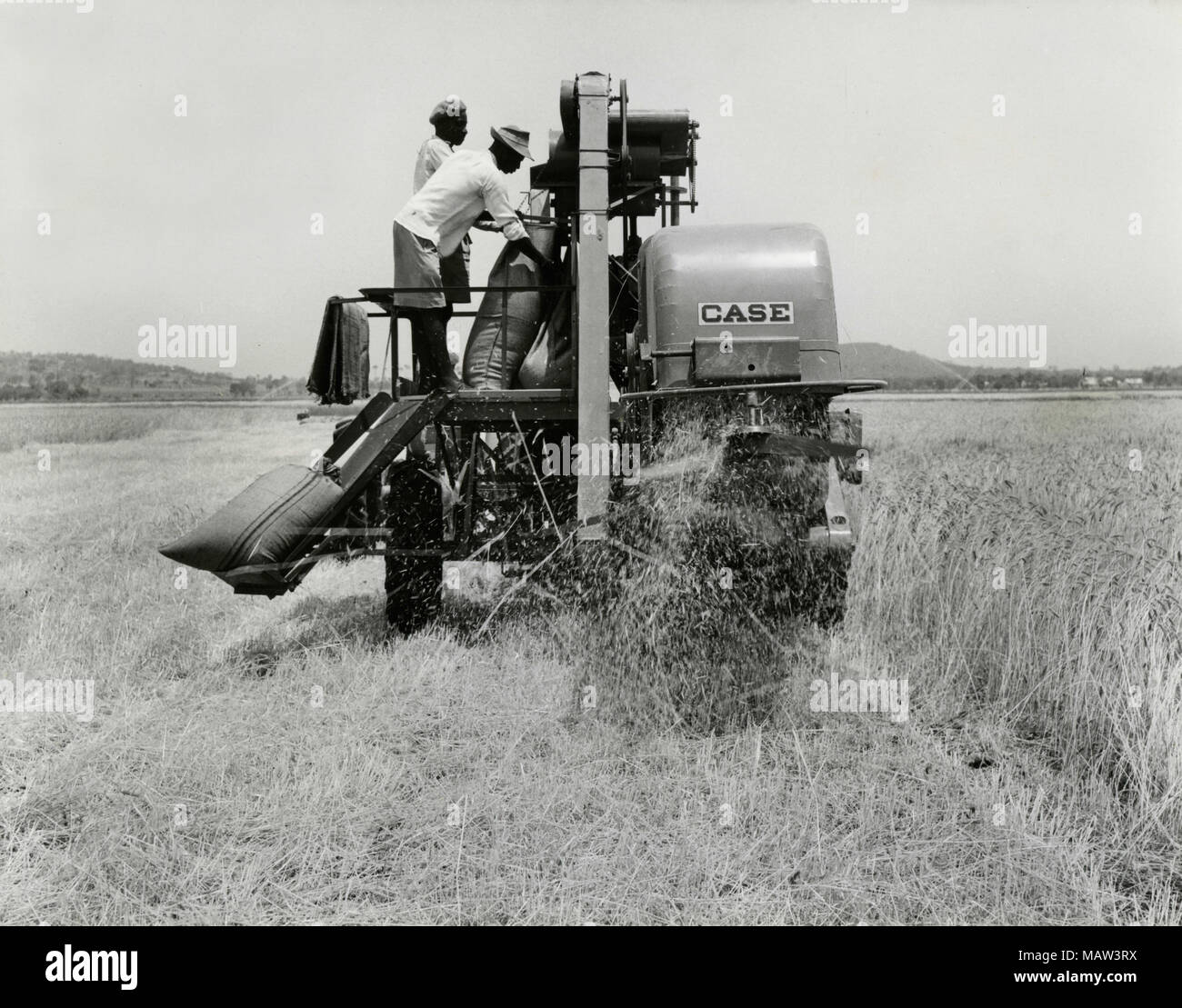 Case combine harvester at first harvest on flats, Rhodesian Selection ...