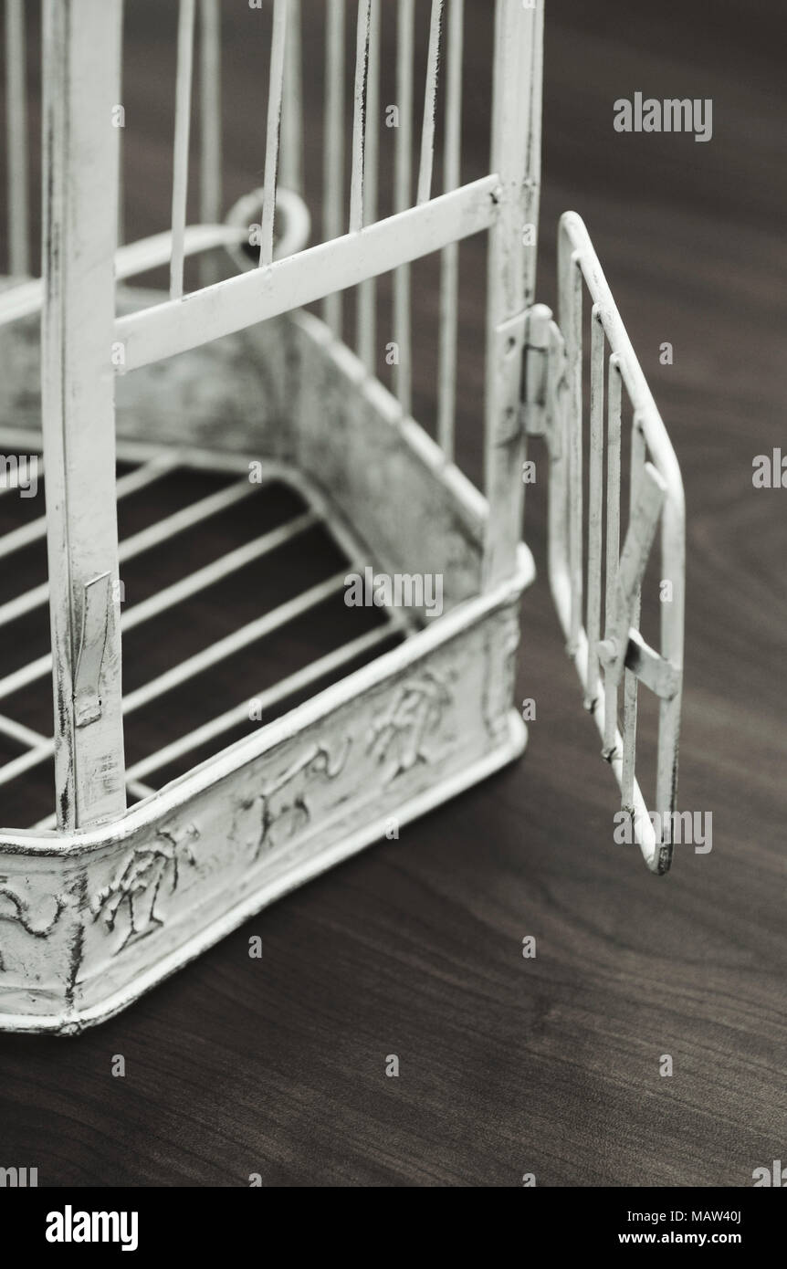 empty birdcage with open door Stock Photo - Alamy