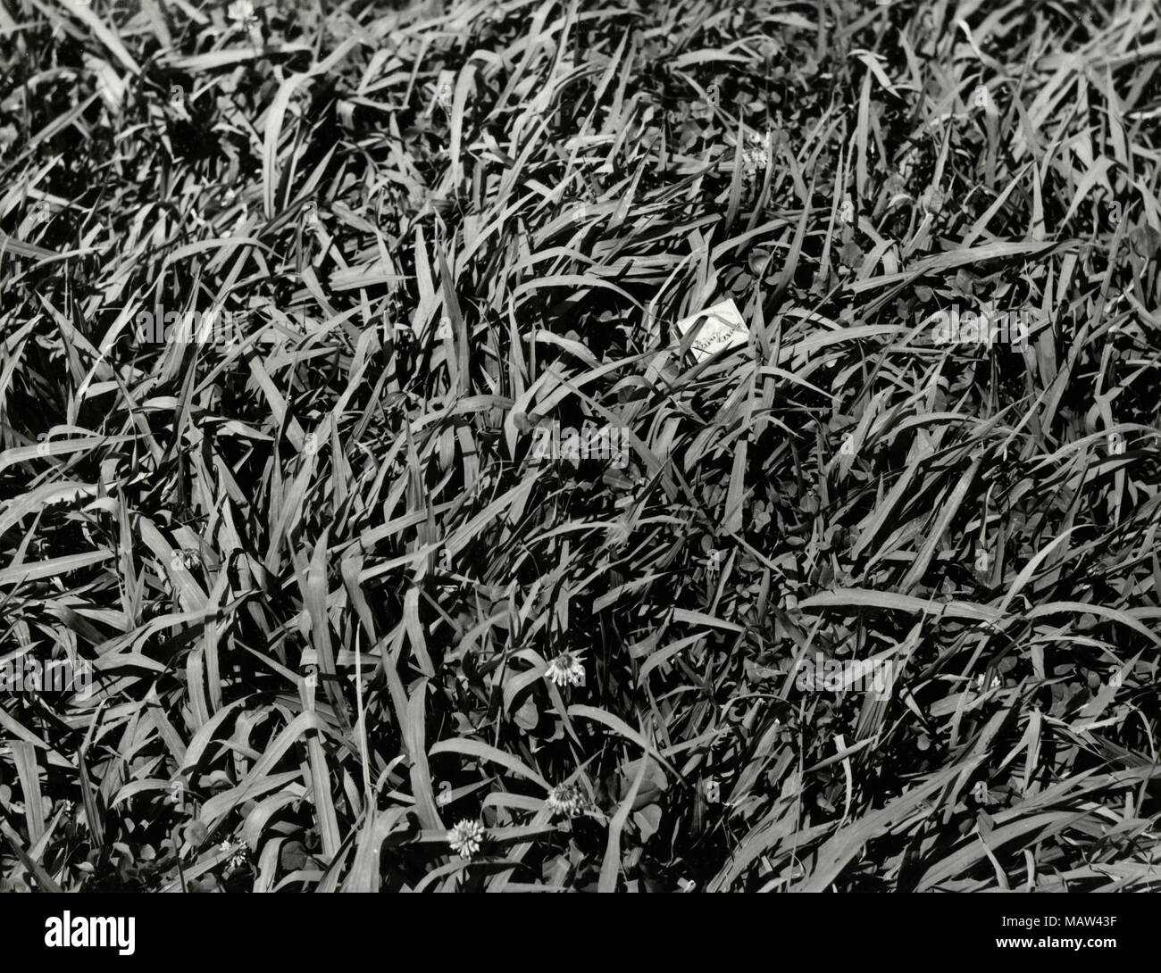 1950's flats hi-res stock photography and images - Alamy