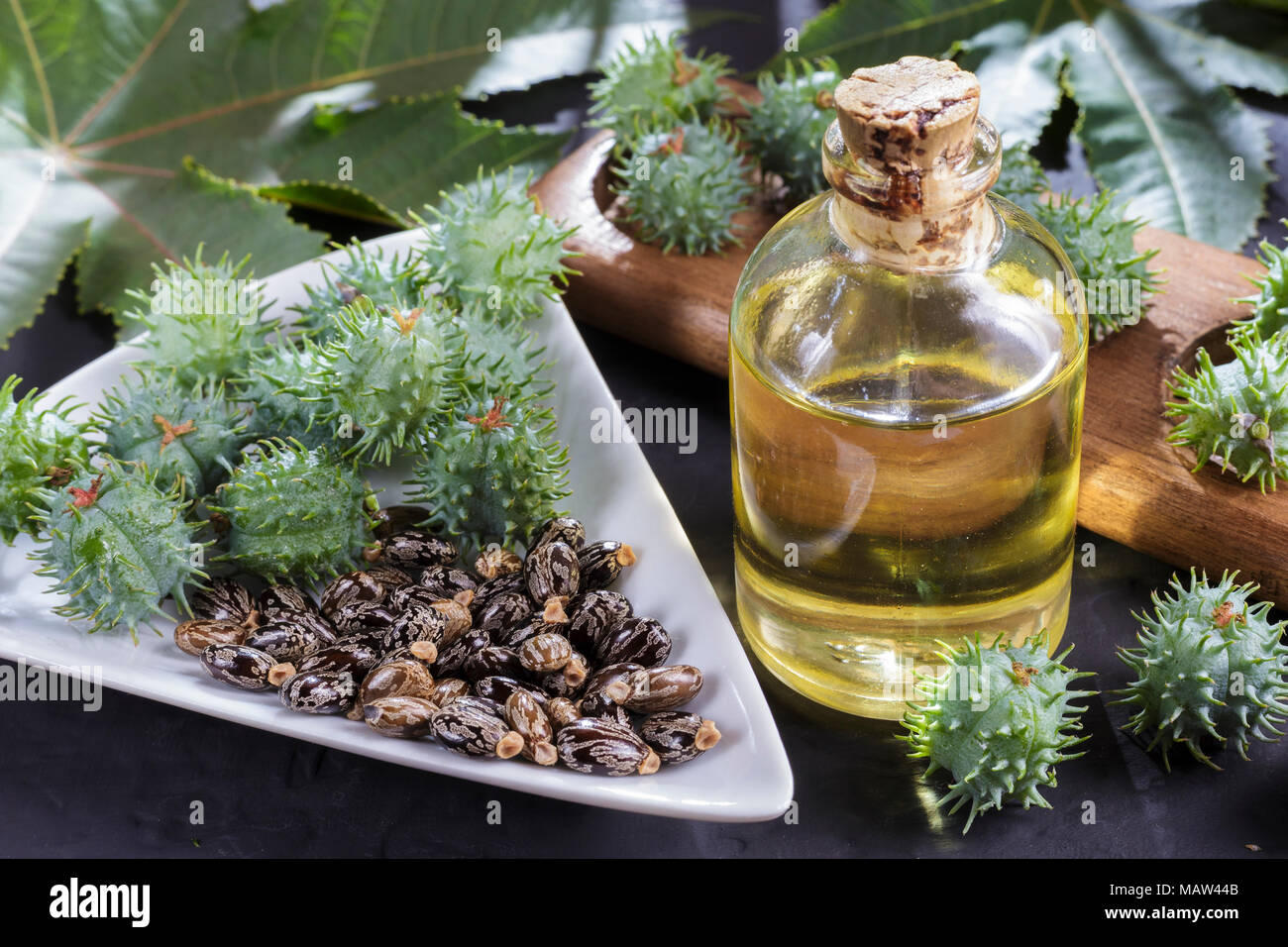 beans and castor oil on the black table Stock Photo - Alamy