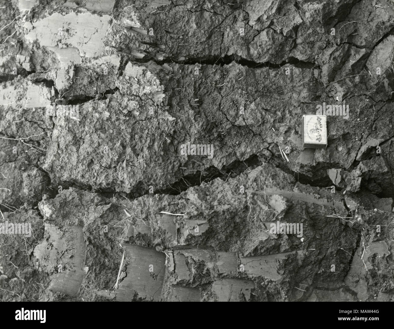 1950's flats hi-res stock photography and images - Alamy