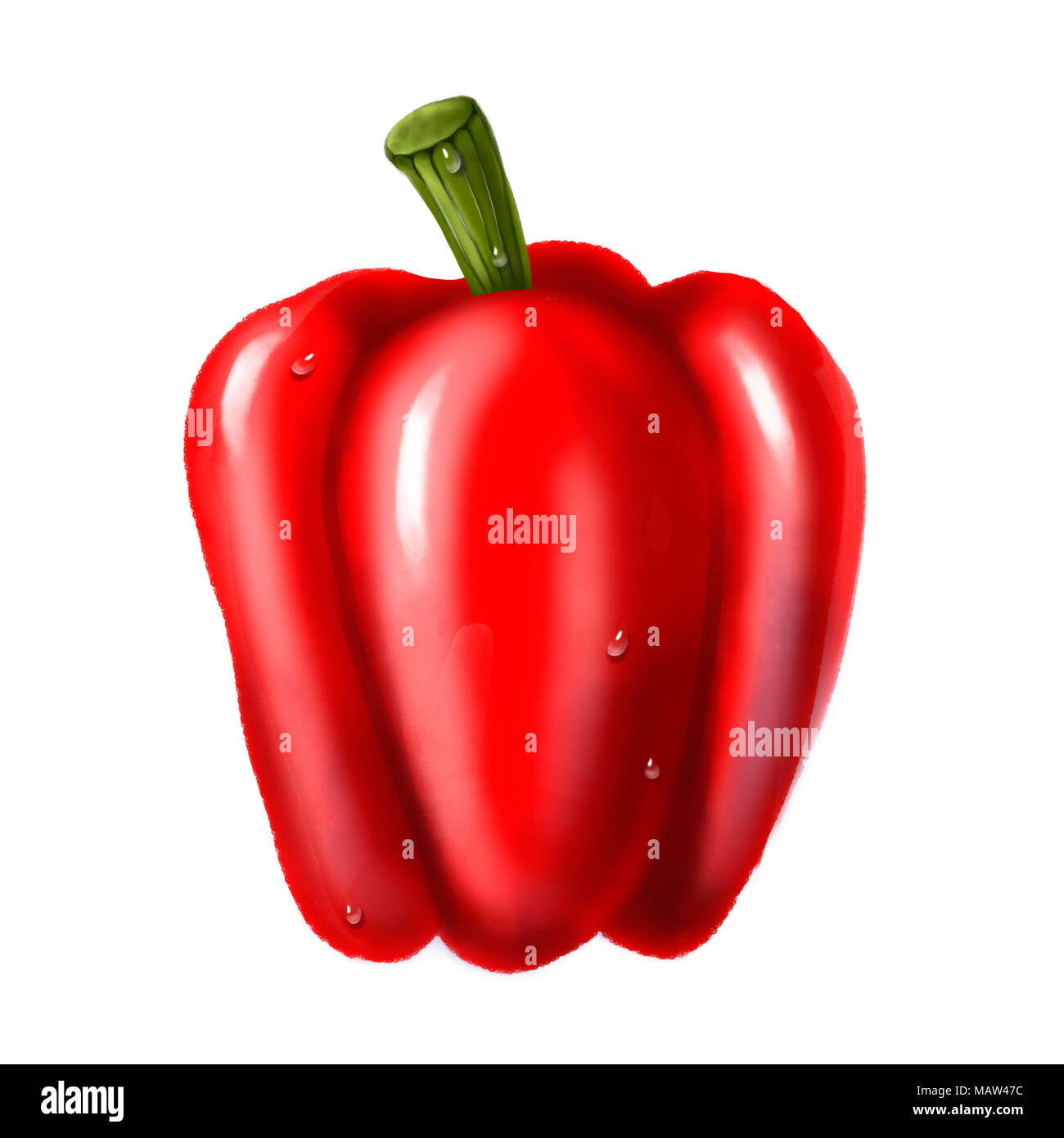 Red pepper vegetable. Realistic illustration isolated on white ...