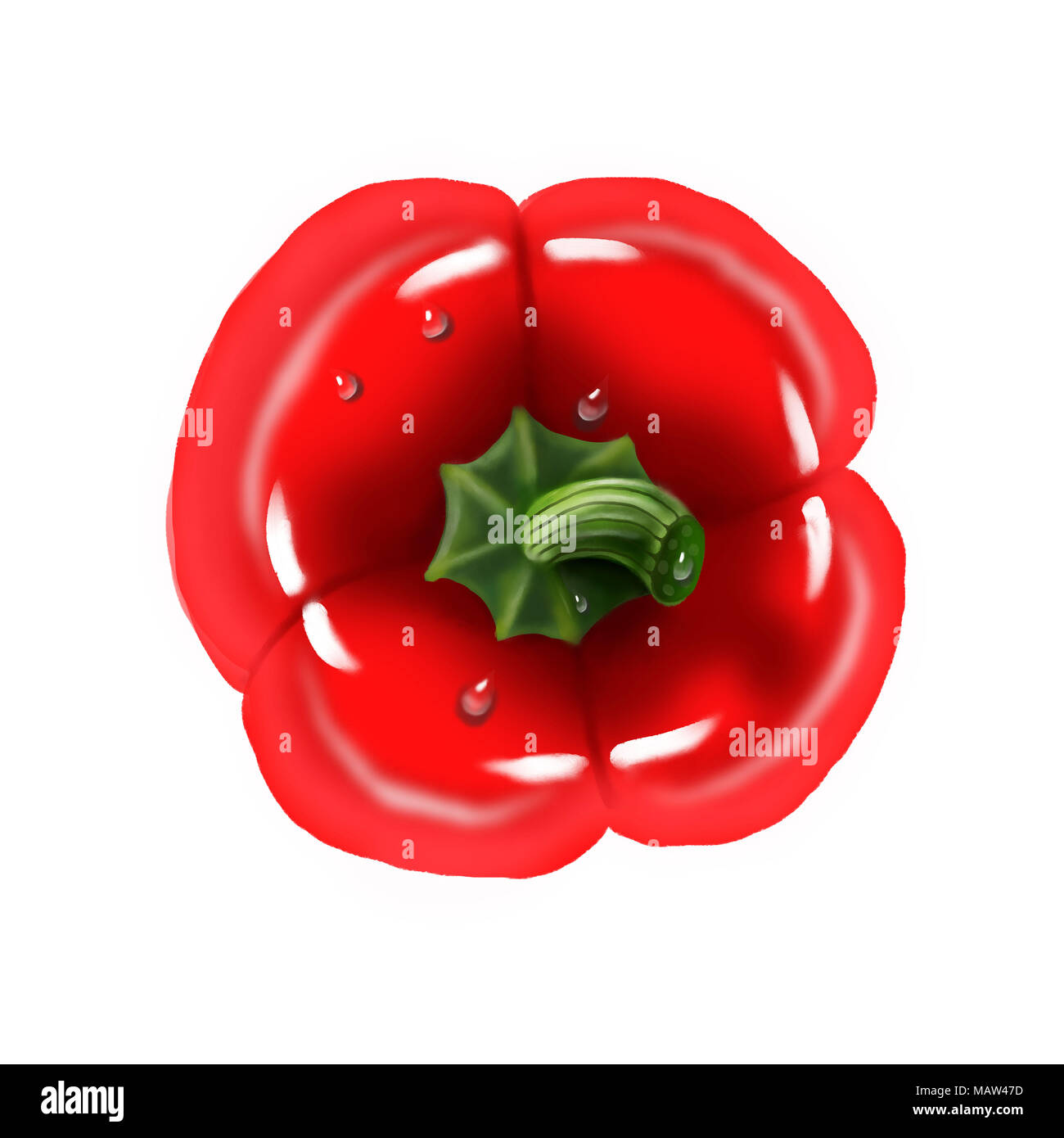 Red pepper vegetable. Realistic illustration isolated on white ...