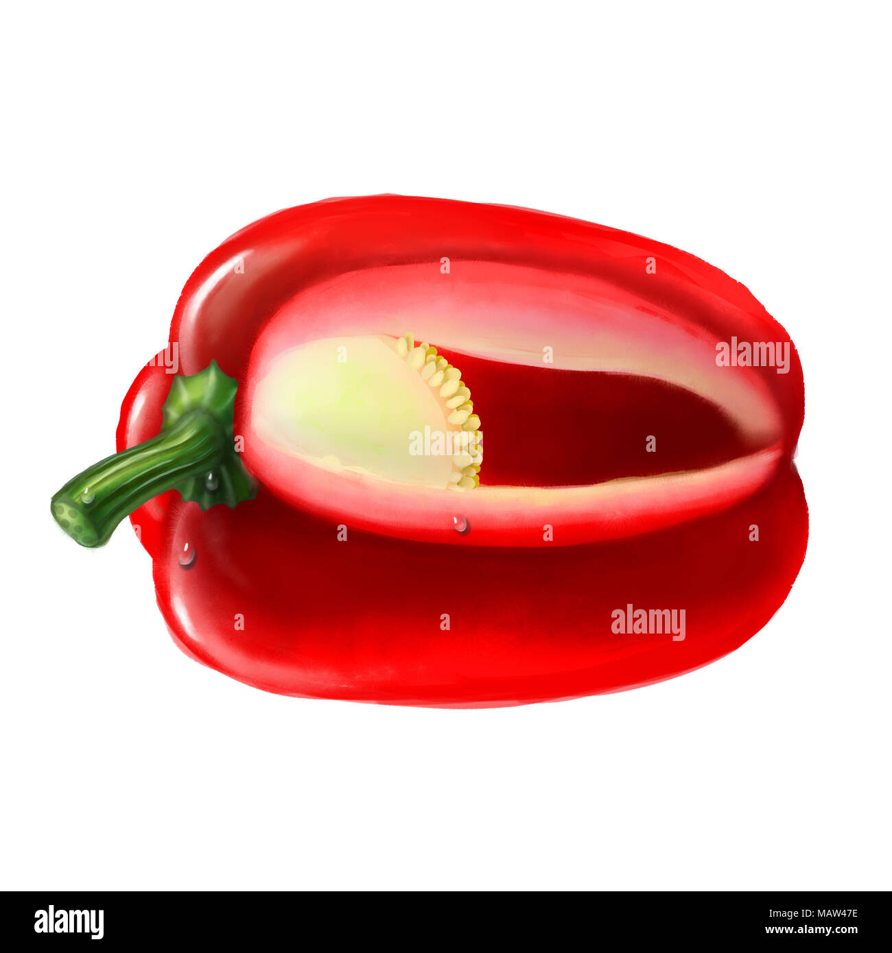 Red pepper vegetable. Realistic illustration isolated on white ...