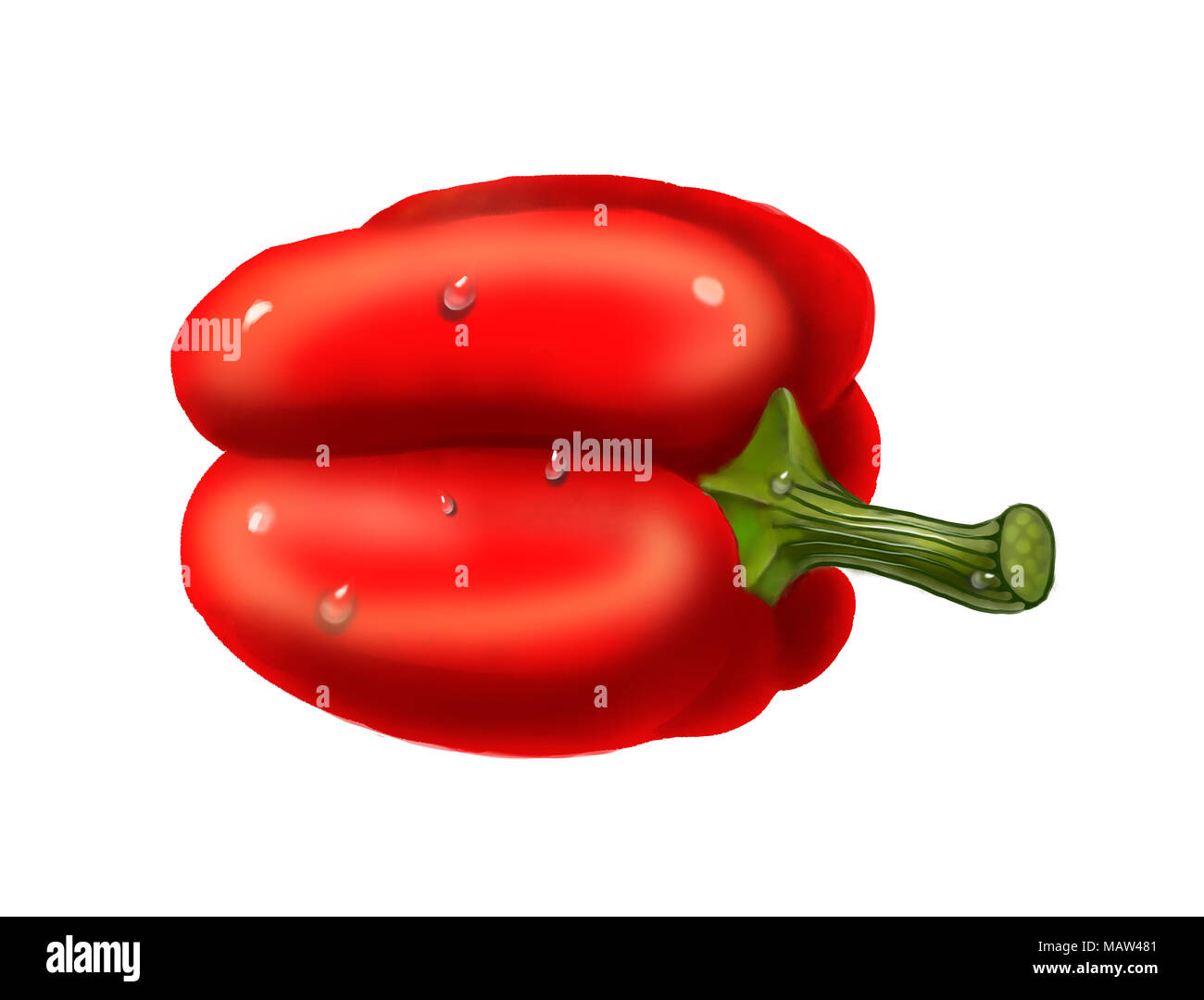 Red pepper vegetable. Realistic illustration isolated on white ...