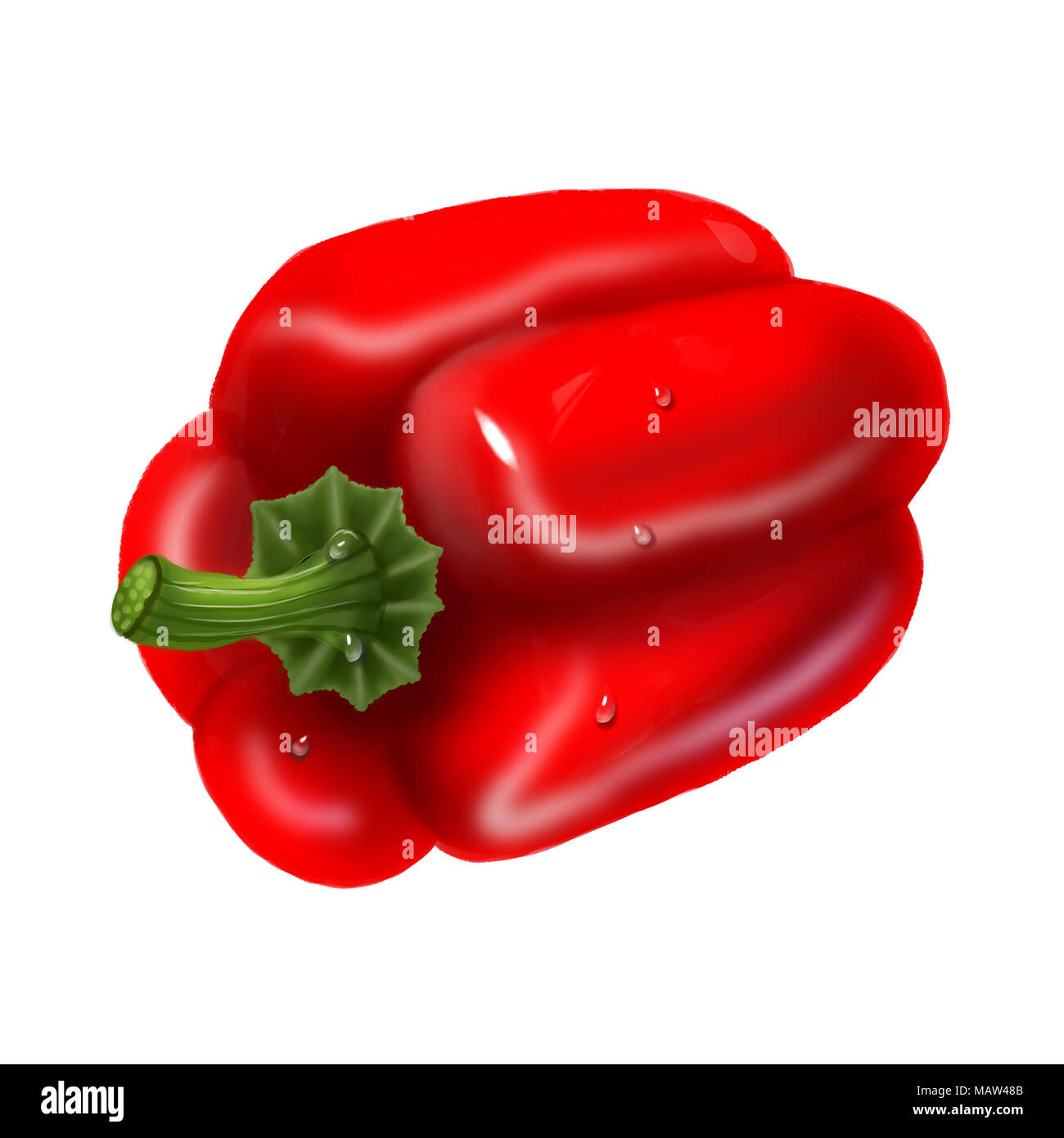 Red pepper vegetable. Realistic illustration isolated on white ...
