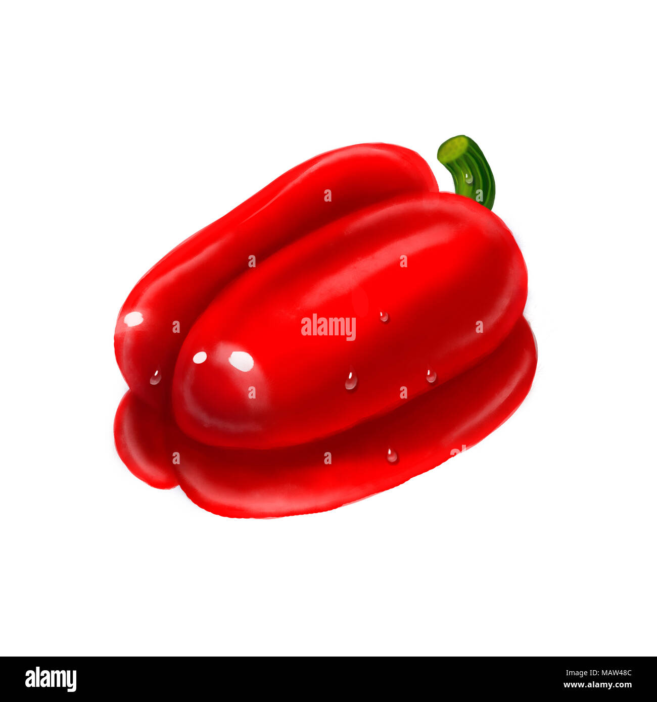 Red pepper vegetable. Realistic illustration isolated on white ...