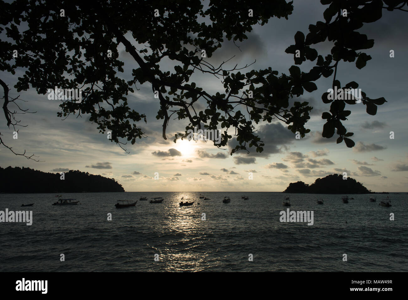 panorama view of sunset and silhouette of trees and boats on the beach ...