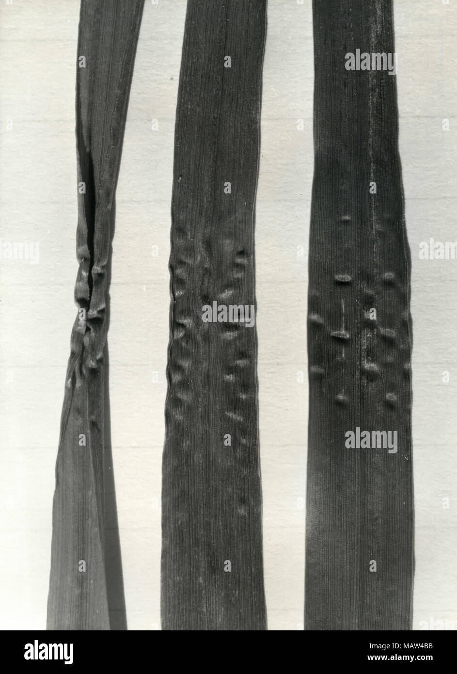 Come into effect hi-res stock photography and images - Alamy