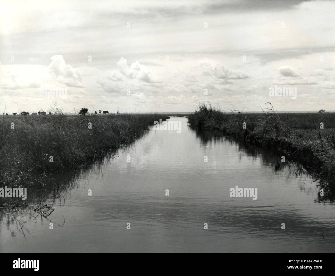 Approaching polder along storm drain, Rhodesian Selection Trust, Kafue ...