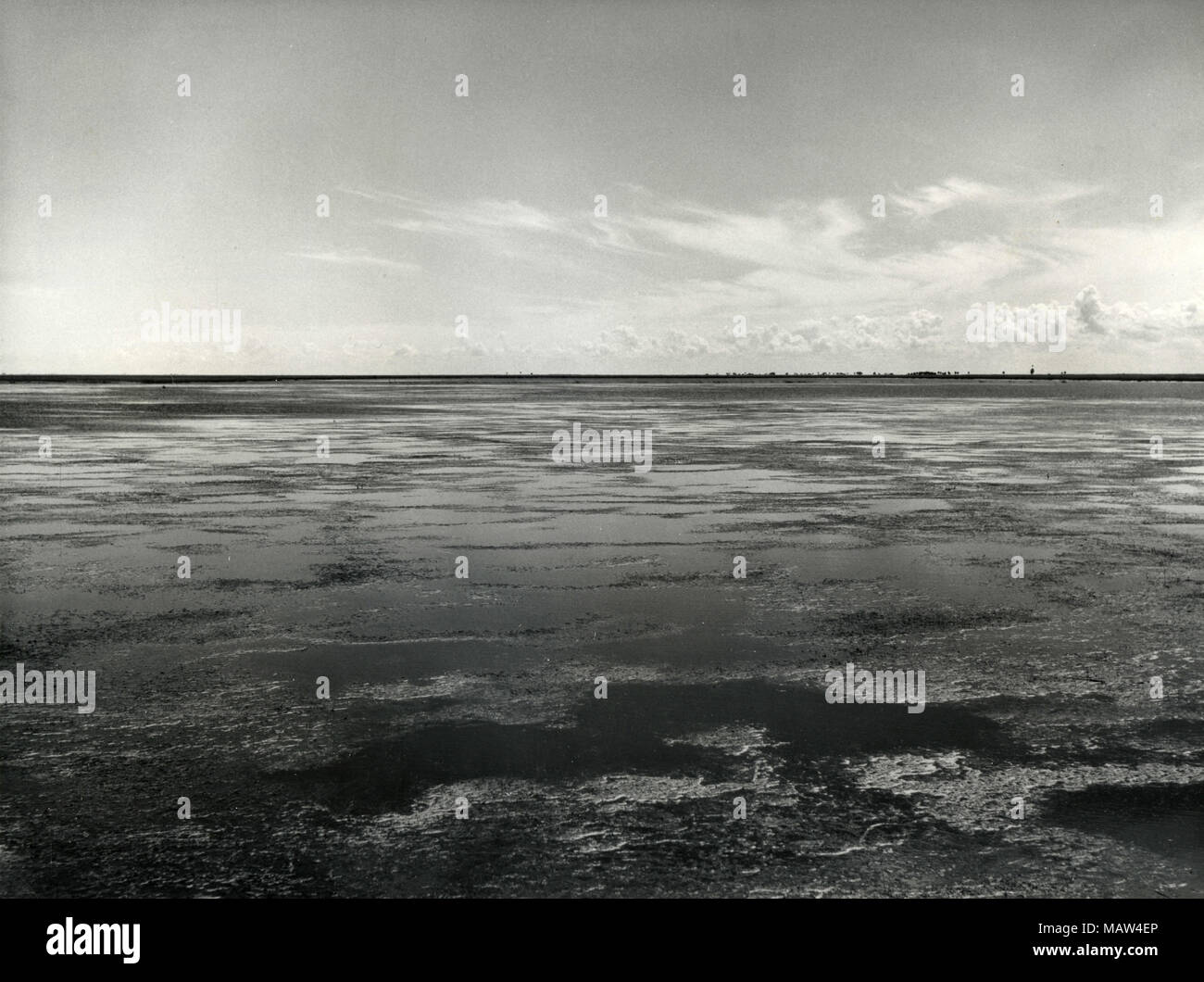Flood fallowing field showing water weed, Rhodesian Selection Trust ...