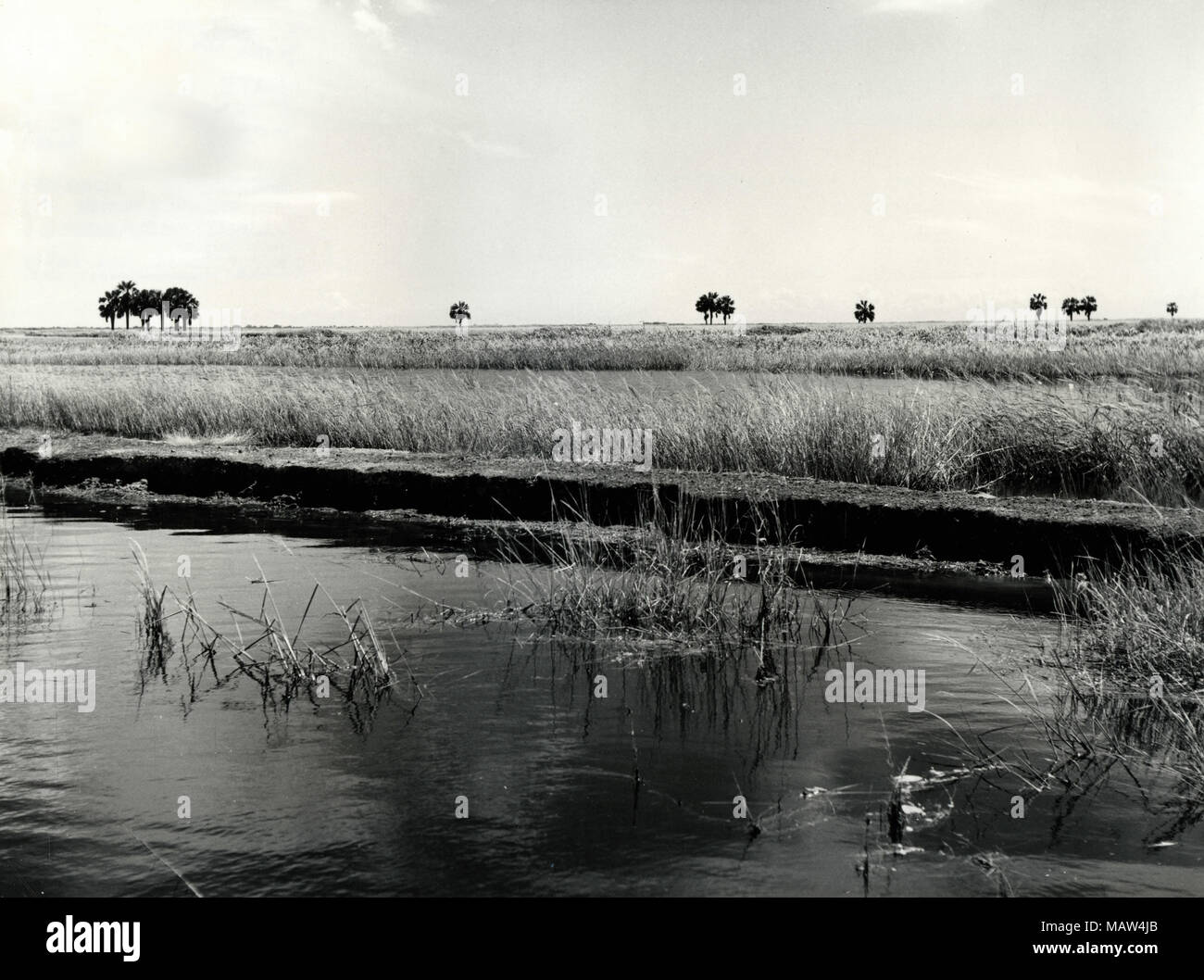 Erasion of river dyke by wave action, Rhodesian Selection Trust, Kafue ...
