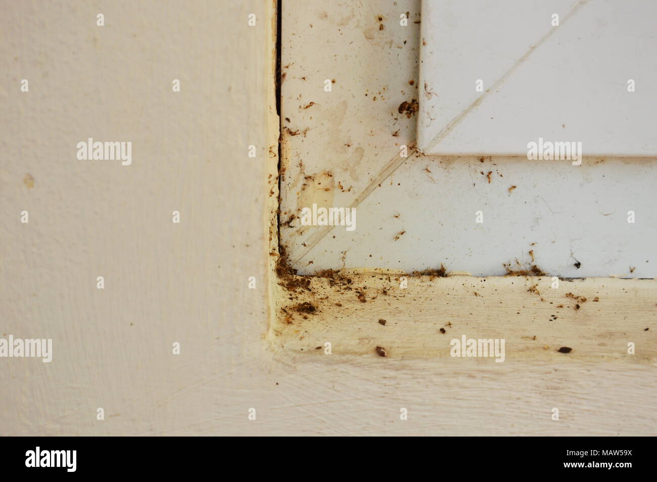 dust on white window frame in home Stock Photo - Alamy