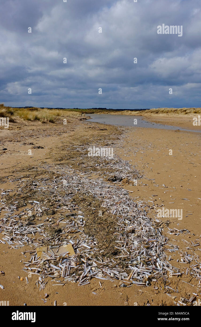 Titchwell rspb reserve north norfolk hi-res stock photography and ...
