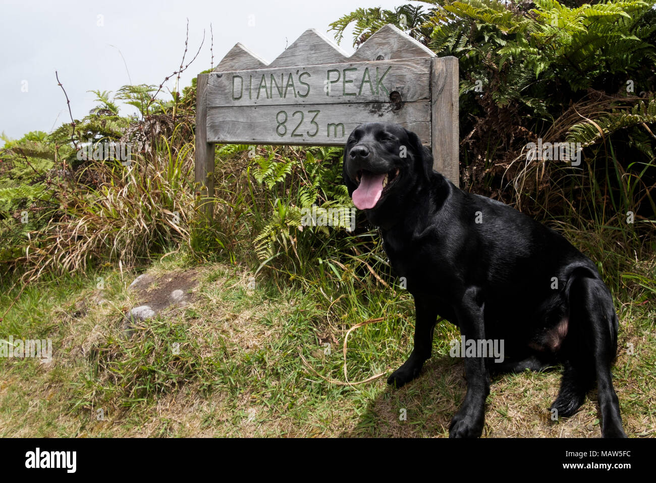 Diana's peak hi-res stock photography and images - Alamy