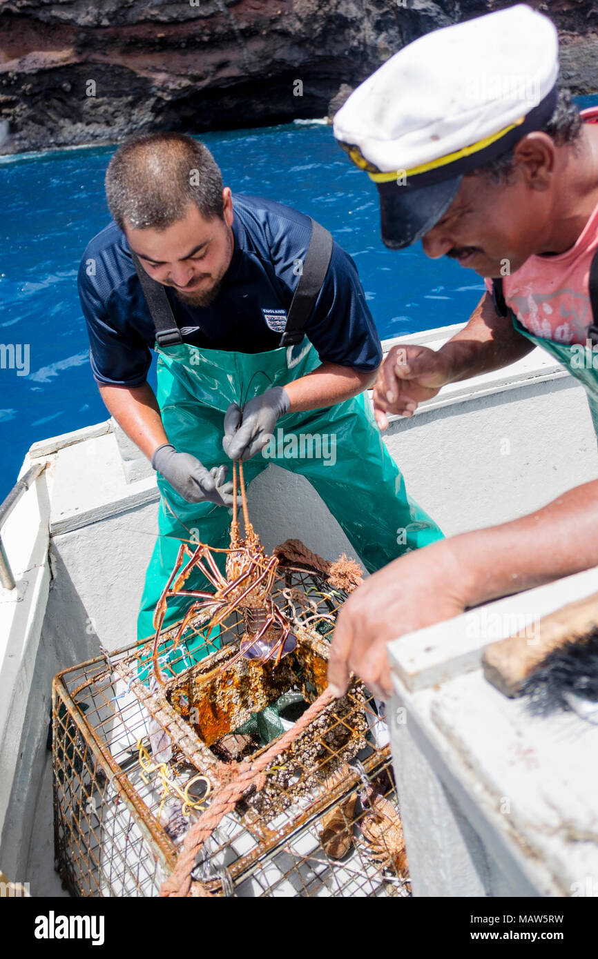 Saint Helena Island: local fishermen checking lobster traps Stock Photo ...