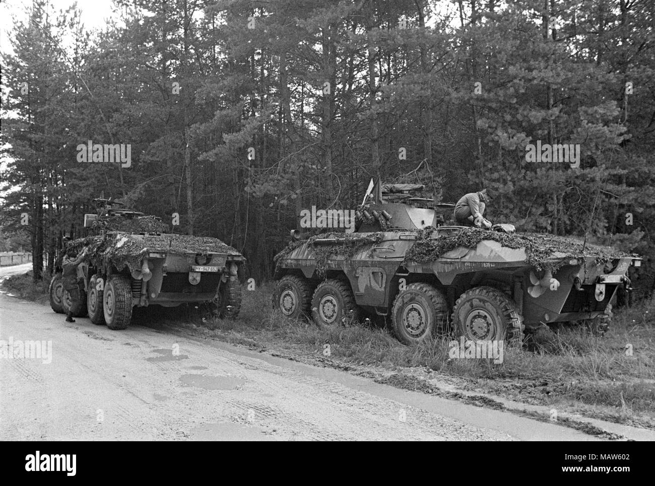 NATO exercises in Germany, Luchs reconnaissance armored cars of the ...