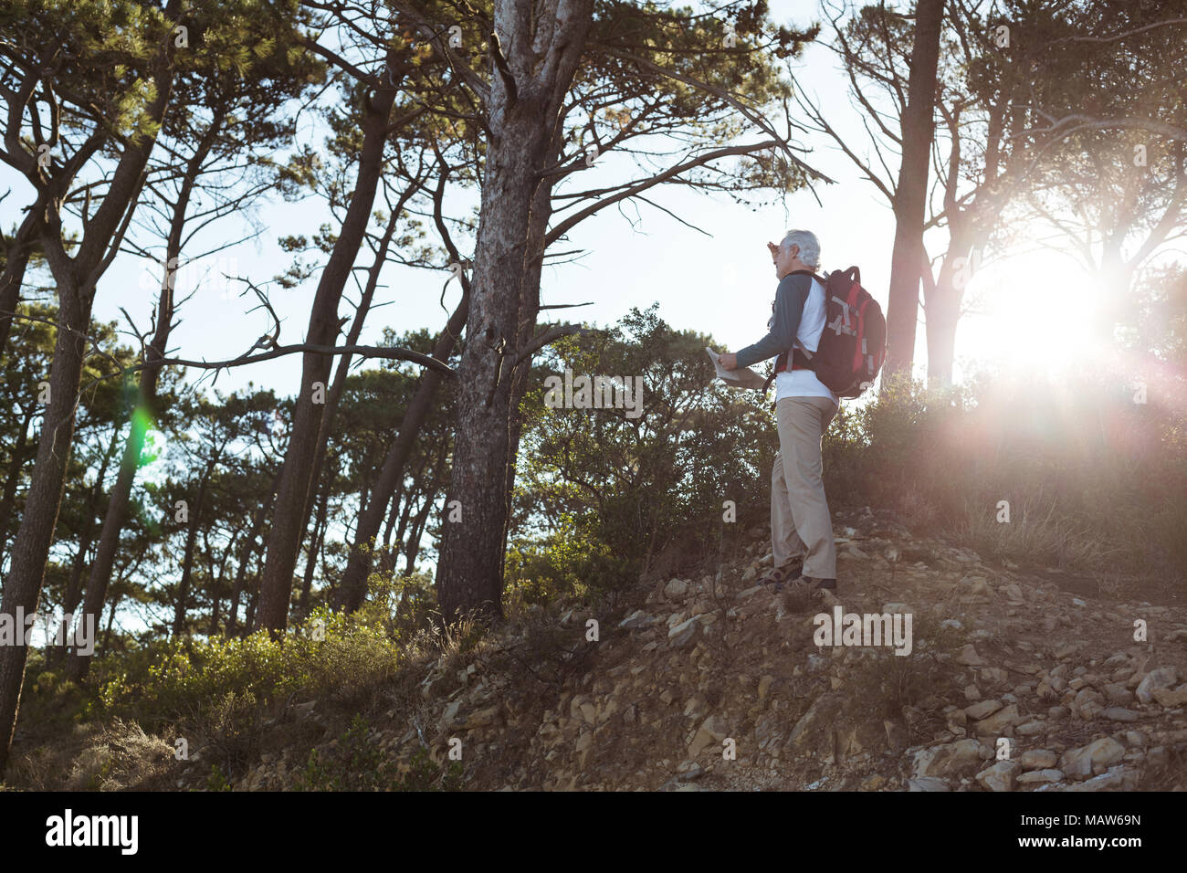 Senior hiker standing with backpack in forest Stock Photo - Alamy
