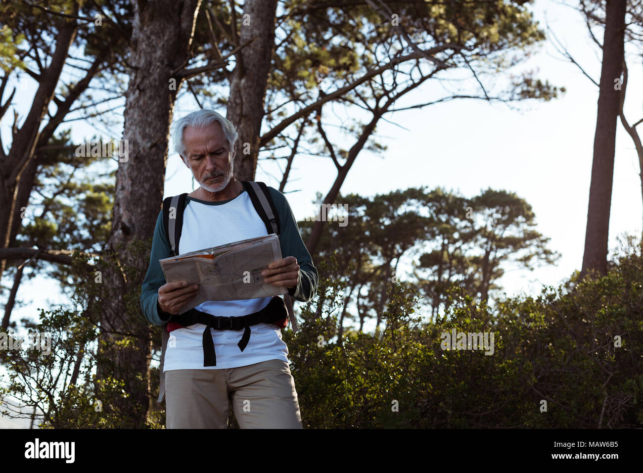 Senior hiker looking at map in forest Stock Photo - Alamy