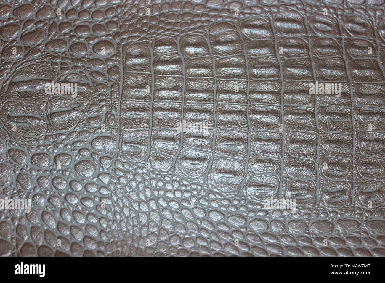 Amphibian skin texture background Stock Photo - Alamy