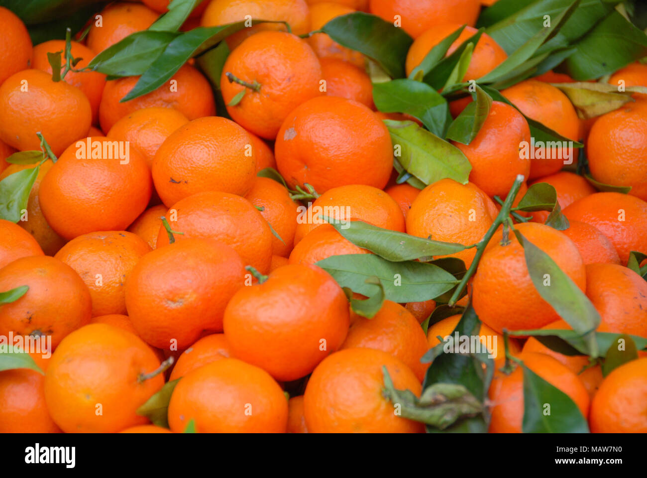 Mandarins for sale at the market Stock Photo - Alamy
