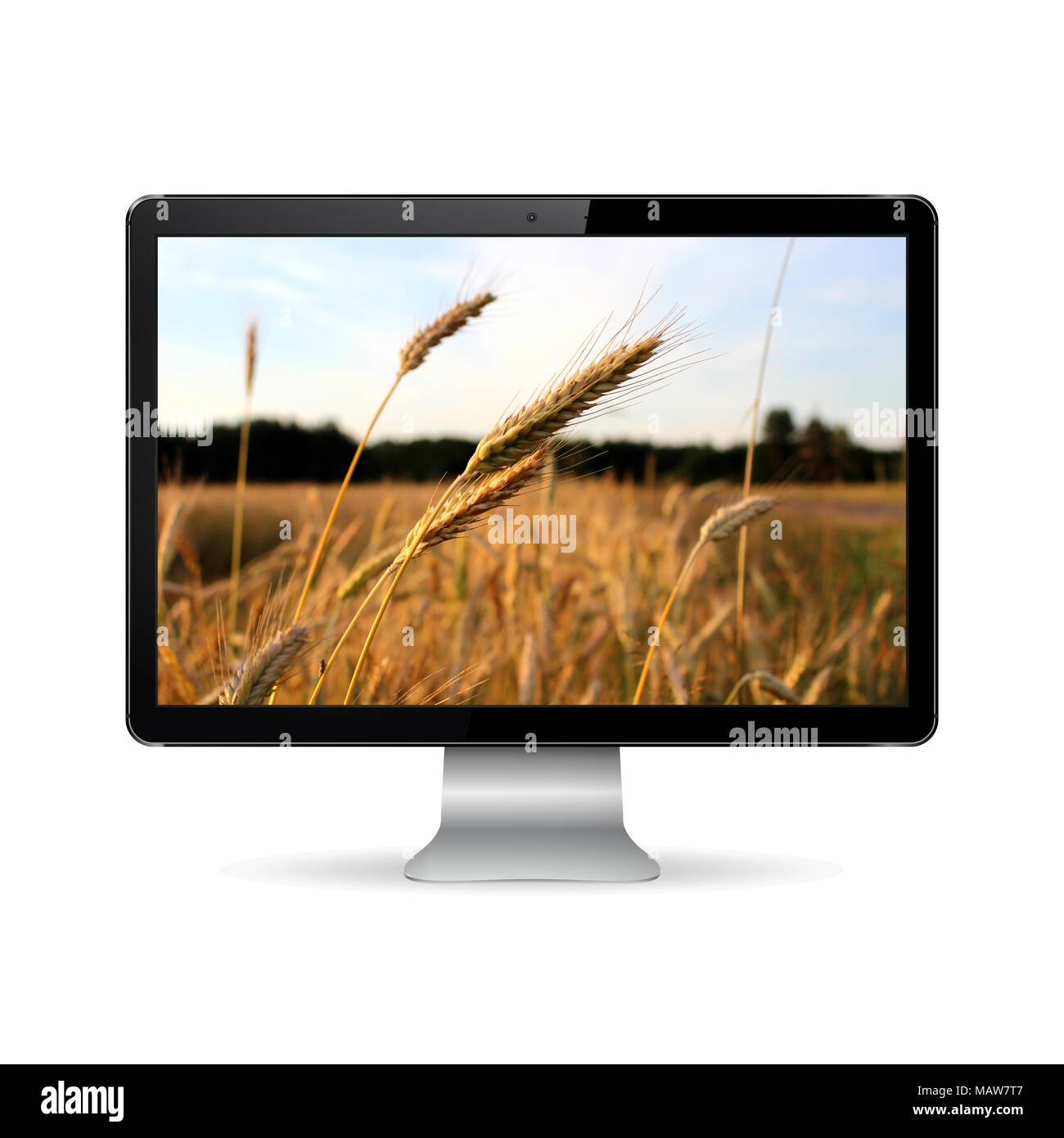 Computer display with wheat field on screen Stock Photo - Alamy
